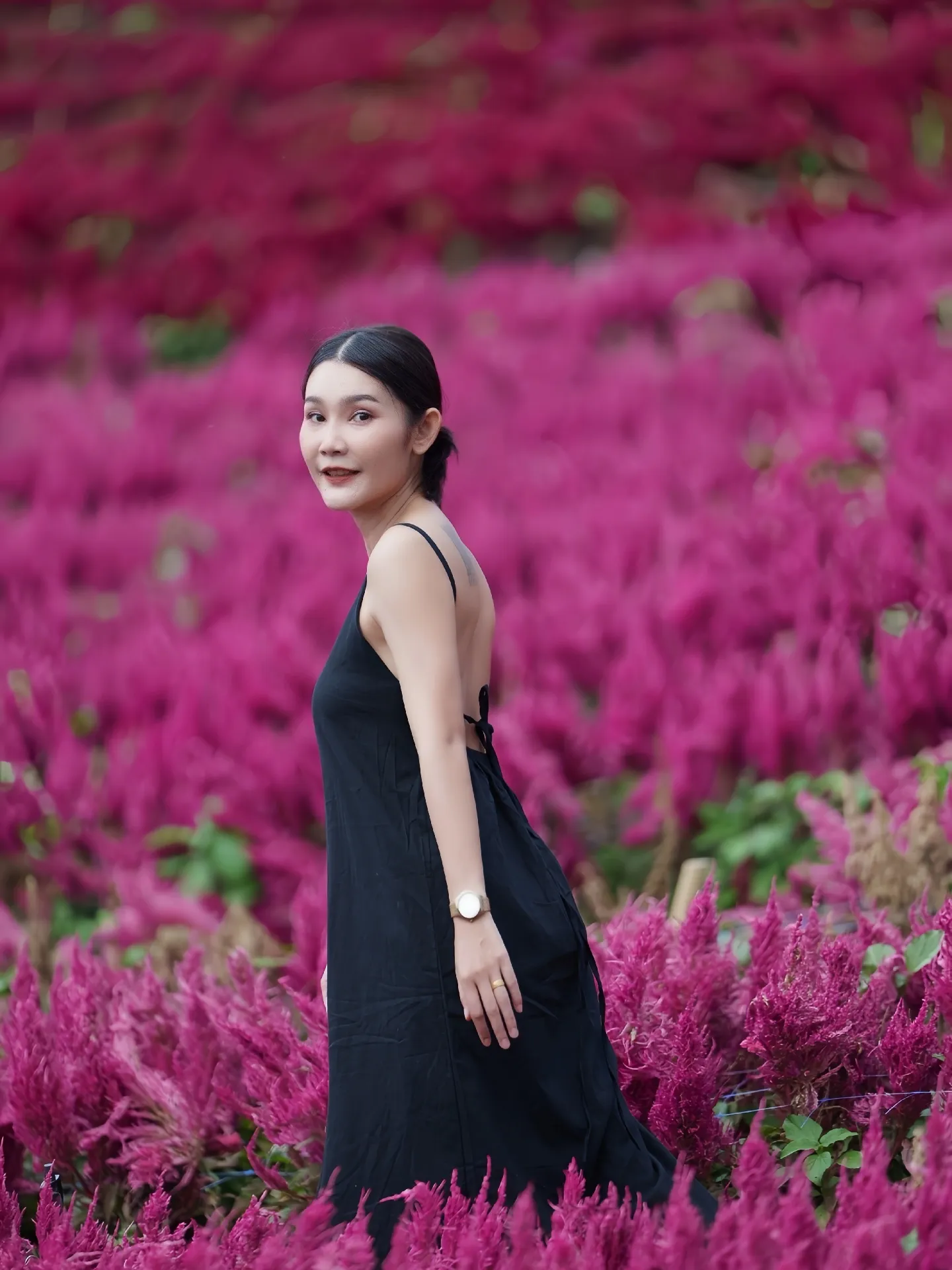 เที่ยว Hydrangea Cafe เขาค้อ | แกลเลอรีที่โพสต์โดย Laaongdow Homkr | Lemon8