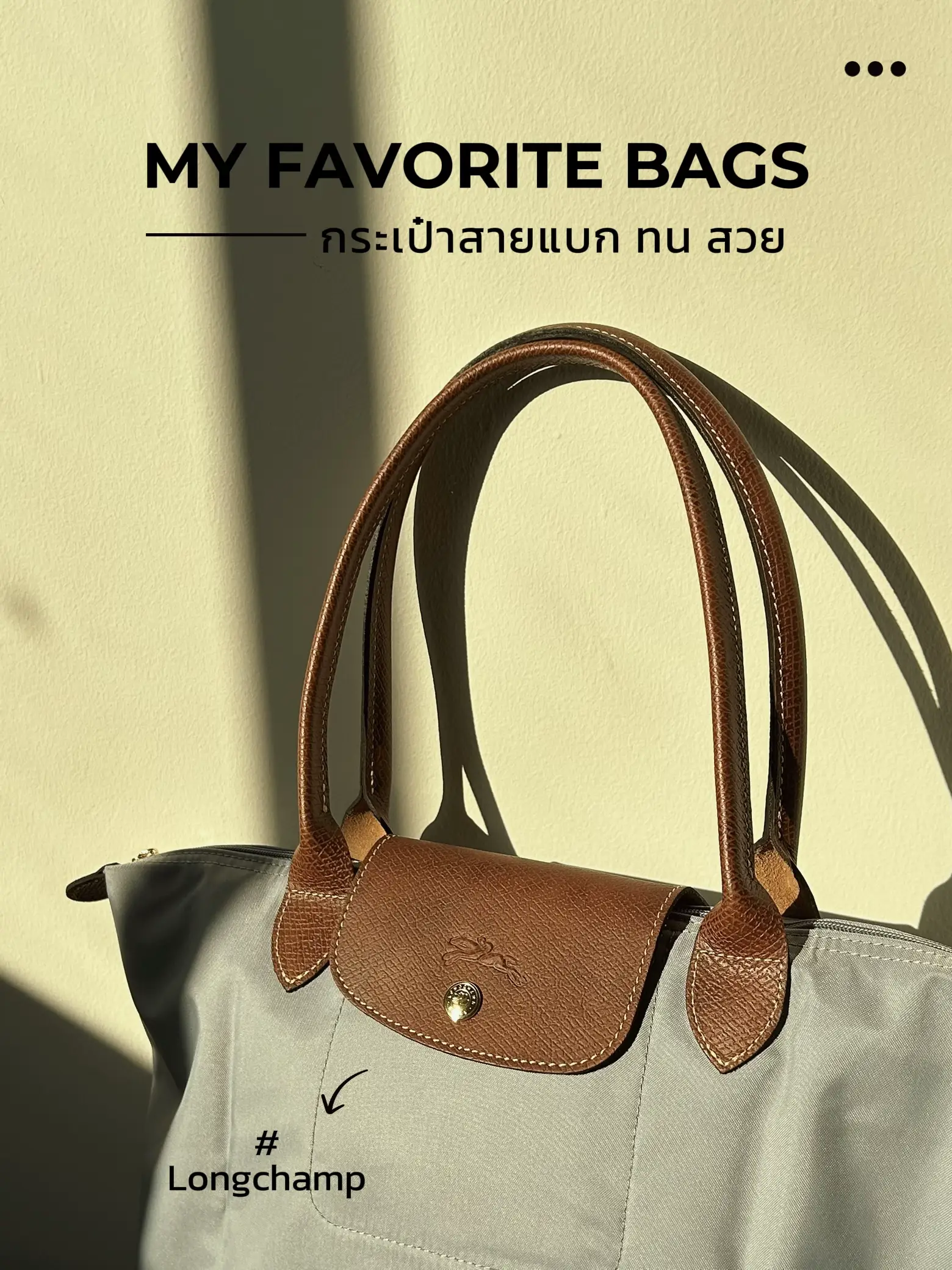 Longchamp 5 ใบเทาจบ!! | แกลเลอรีที่โพสต์โดย Wadee | Lemon8