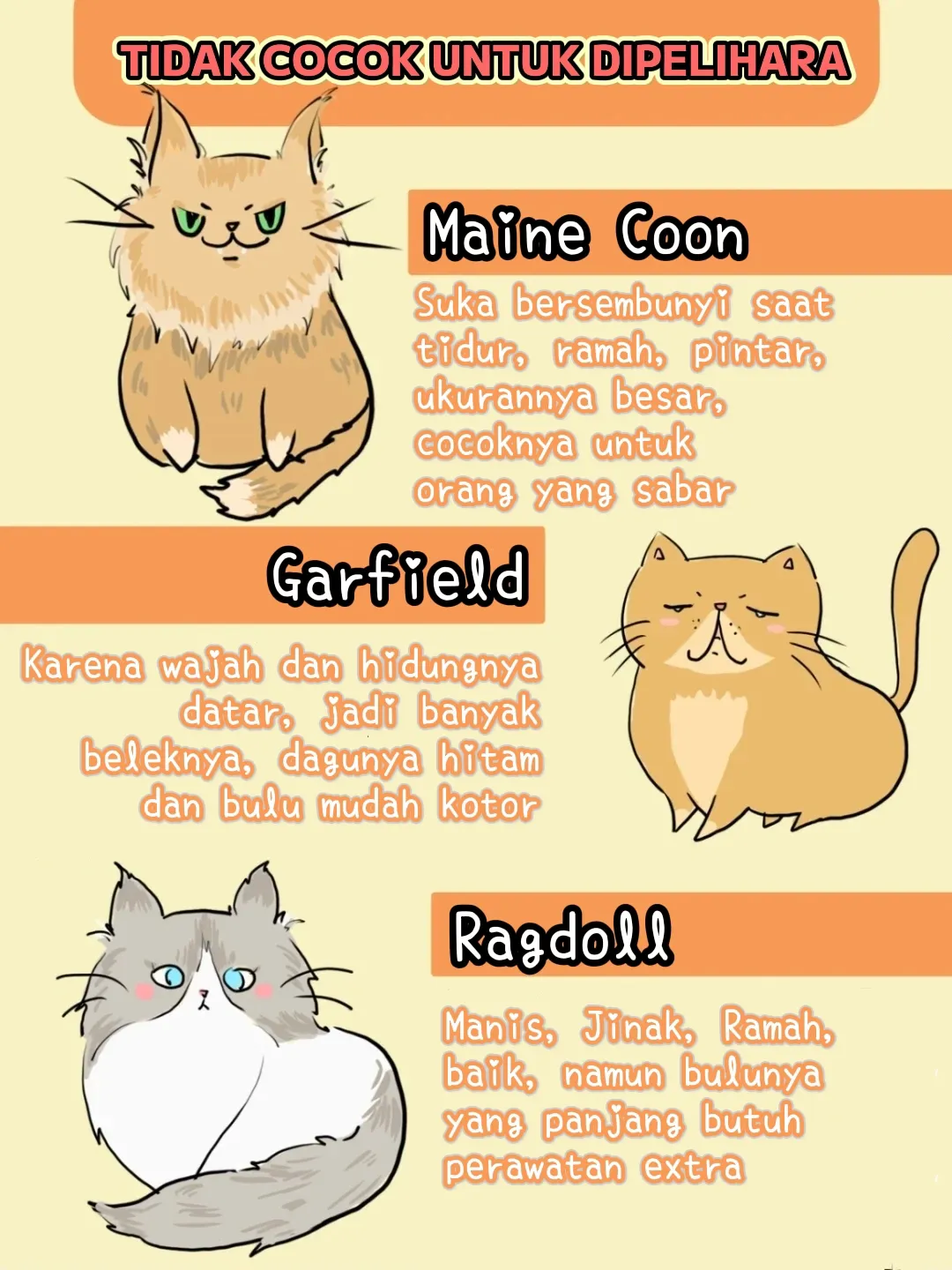 jenis-jenis kucing - Pencarian Lemon8