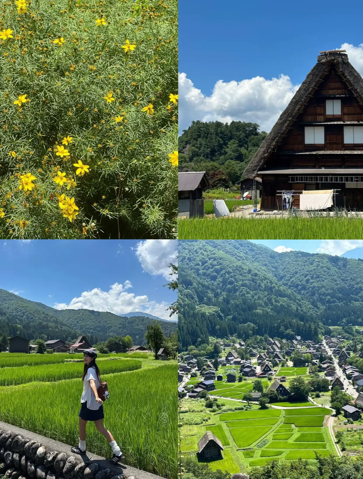 ’Shira kawa-go‘ หนึ่งในหมู่บ้านที่เราชอบที่สุด 🛖⛰️🇯🇵 | แกลเลอรีที่โพสต์โดย lbzero | Lemon8