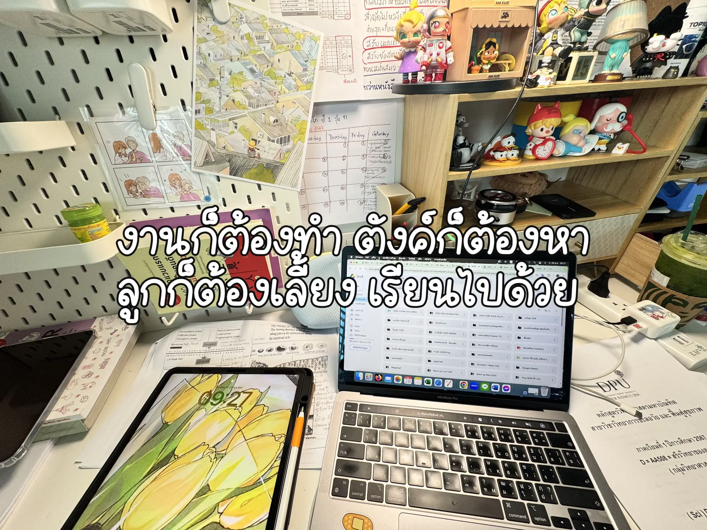 ยังจะอยากเรียน ป. โท อยู่ไหม? | แกลเลอรีที่โพสต์โดย GiG.TOBY🌷 | Lemon8