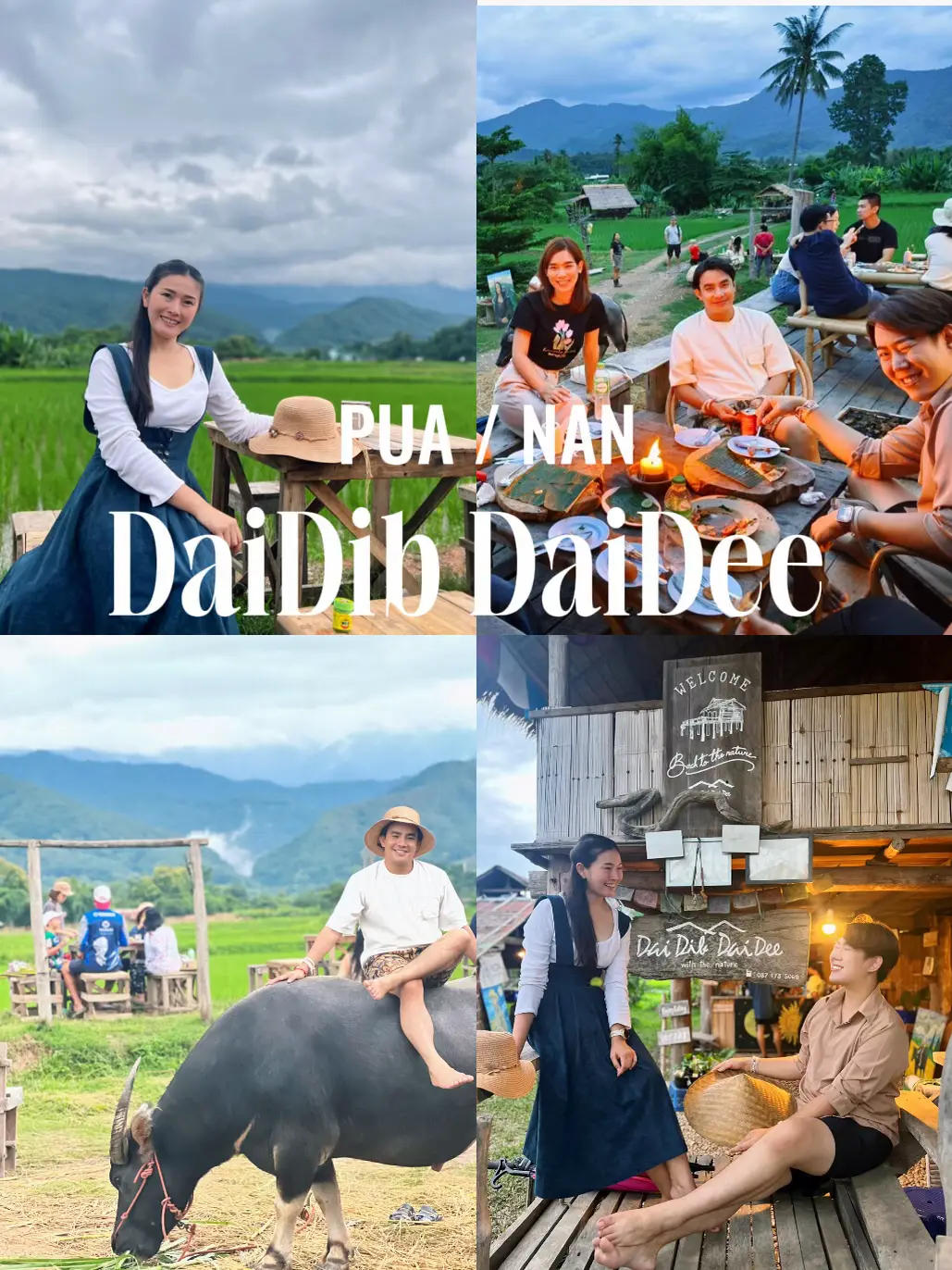 DaiDib DaiDee | แกลเลอรีที่โพสต์โดย ลองรีวิวดูก่อน | Lemon8