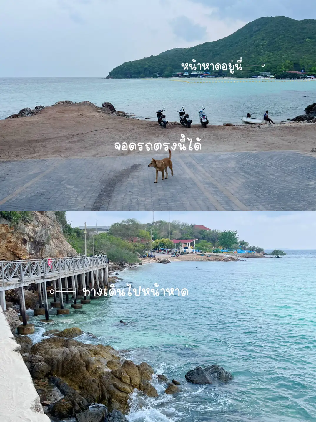 หาดเทียน เกาะล้าน | แกลเลอรีที่โพสต์โดย aumnuntita 🥑🥓 | Lemon8