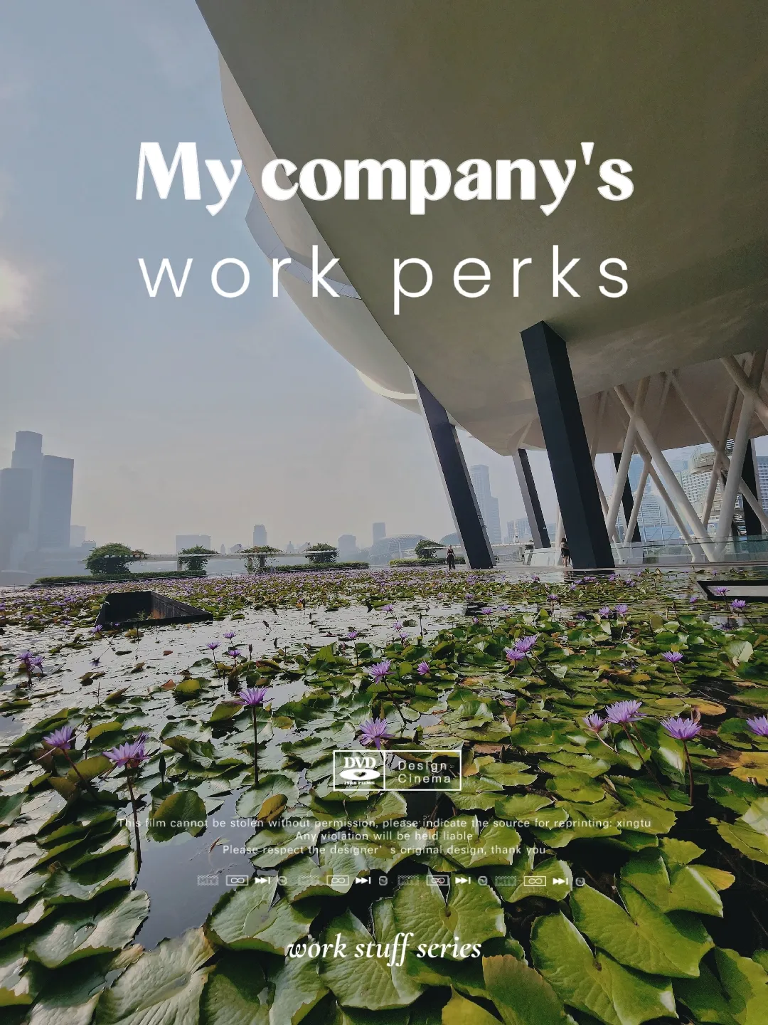 my company's coool work perks ️ | Gallery posted by Tiny | Lemon8