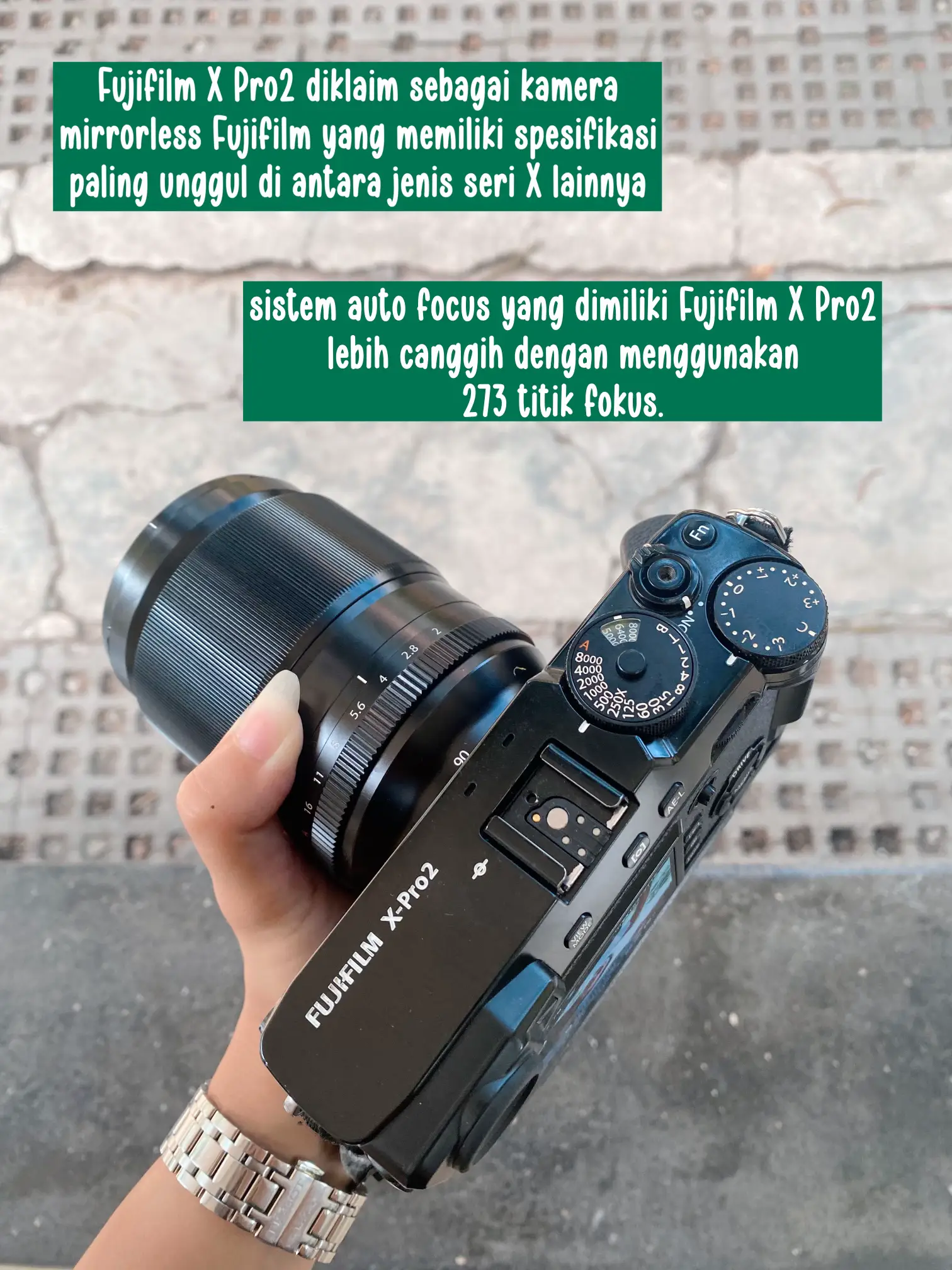 Review Fujifilm X - Pro 2 | Galeri diposting oleh nesyaadenisaa | Lemon8