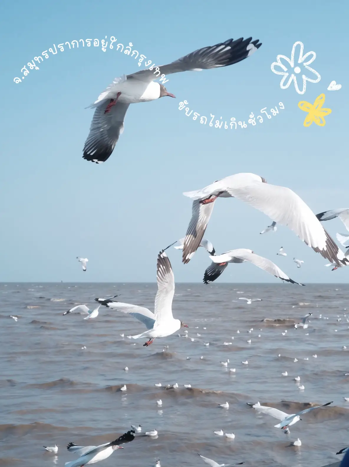 One day trip บางปู | แกลเลอรีที่โพสต์โดย Bow Jumbo | Lemon8