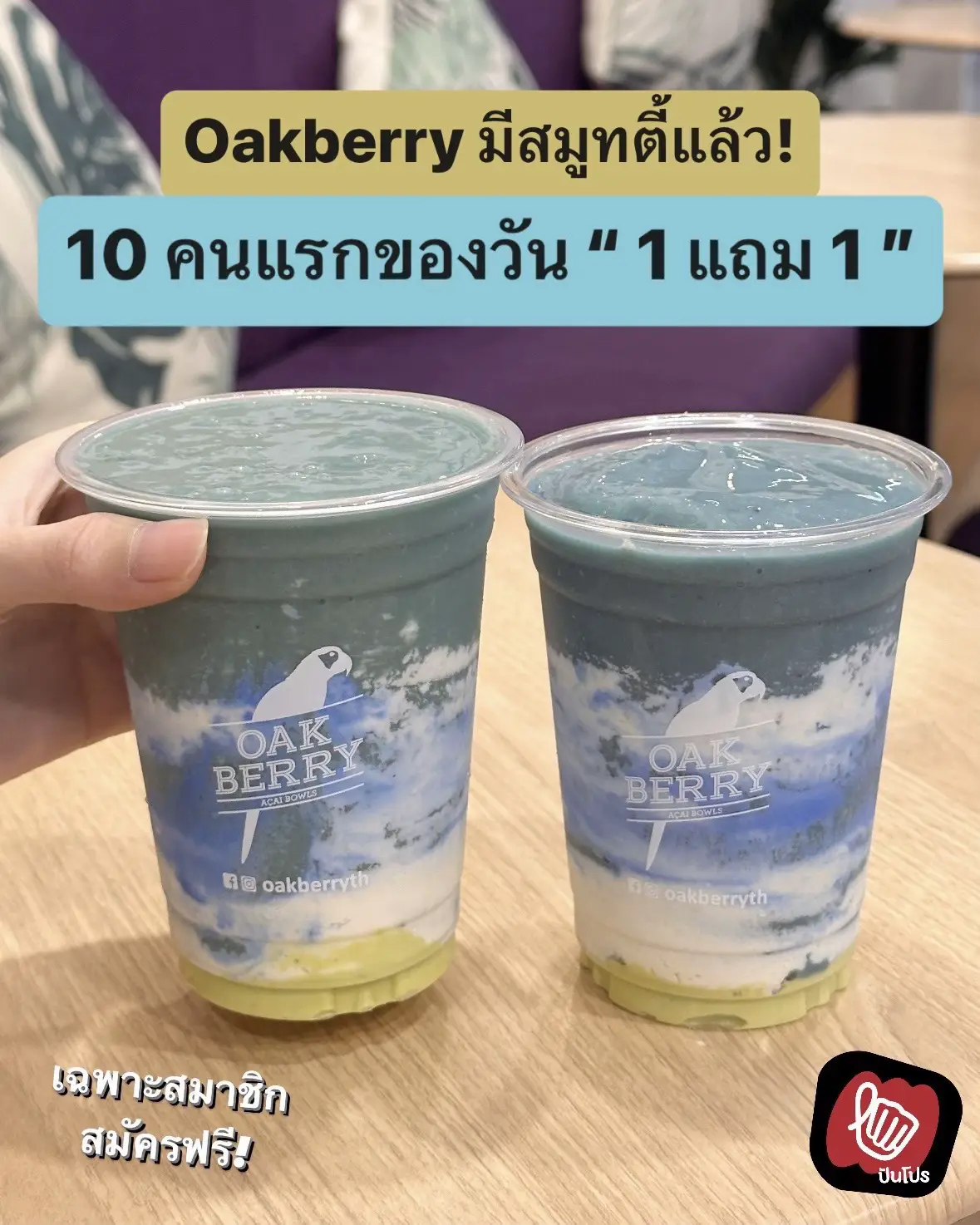 สมูทตี้ Oakberry 1 แถม 1 | แกลเลอรีที่โพสต์โดย punpromotion | Lemon8