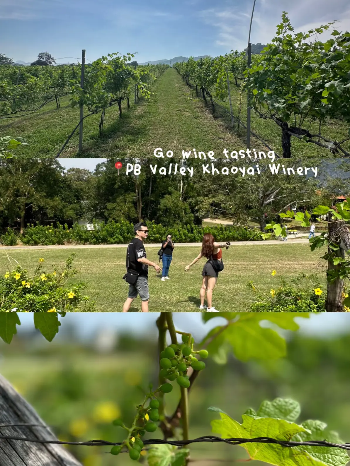 ️Satisfy Your Wanderlust in Magical Khao Yai!🐑🏰 | Gallery posted by ...