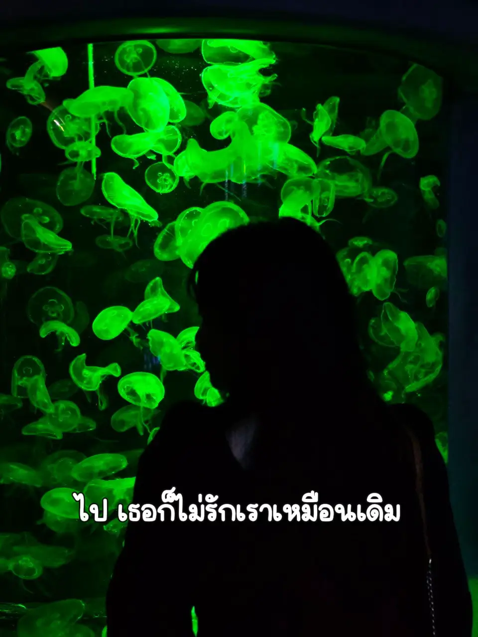 แคปชั่นเศร้าทีมอกหักตัดพ้อเหมาะสำหรับคนที่เจอแต่ความรักที่ไม่ดี | แกลเลอรีที่โพสต์โดย Paveena ...