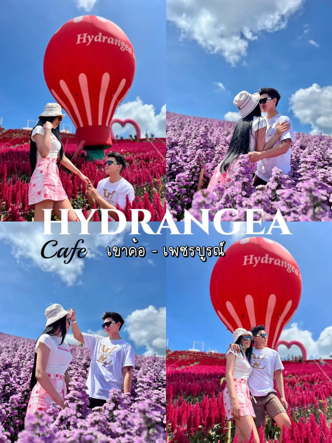 HYDRANGEA cafe 📍 | แกลเลอรีที่โพสต์โดย ไปเที่ยวกัน | Lemon8