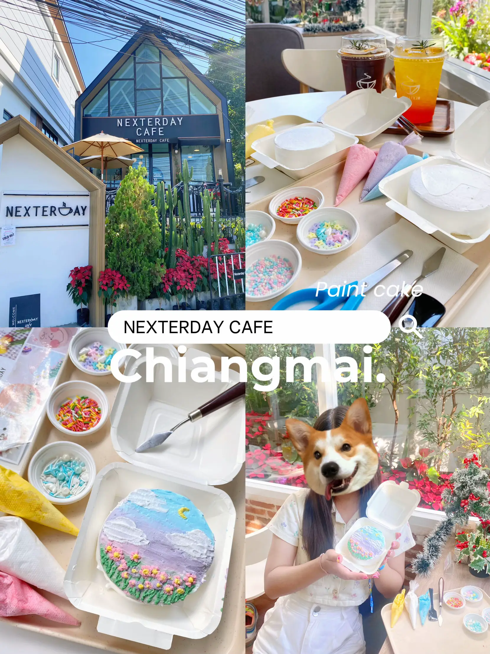 Paint cake Nexterday Cafe🎂 | แกลเลอรีที่โพสต์โดย พชญ🧚🏻‍♀️ | Lemon8