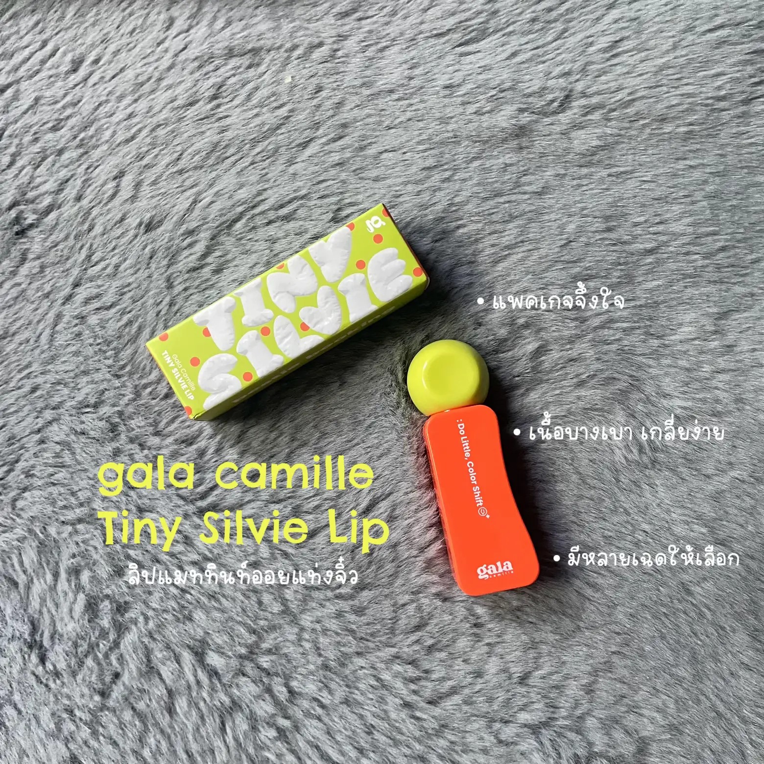 gala camille tinyyy เหล่าตระกูลจิ๋ว🤏 | แกลเลอรีที่โพสต์โดย doremifahq ...