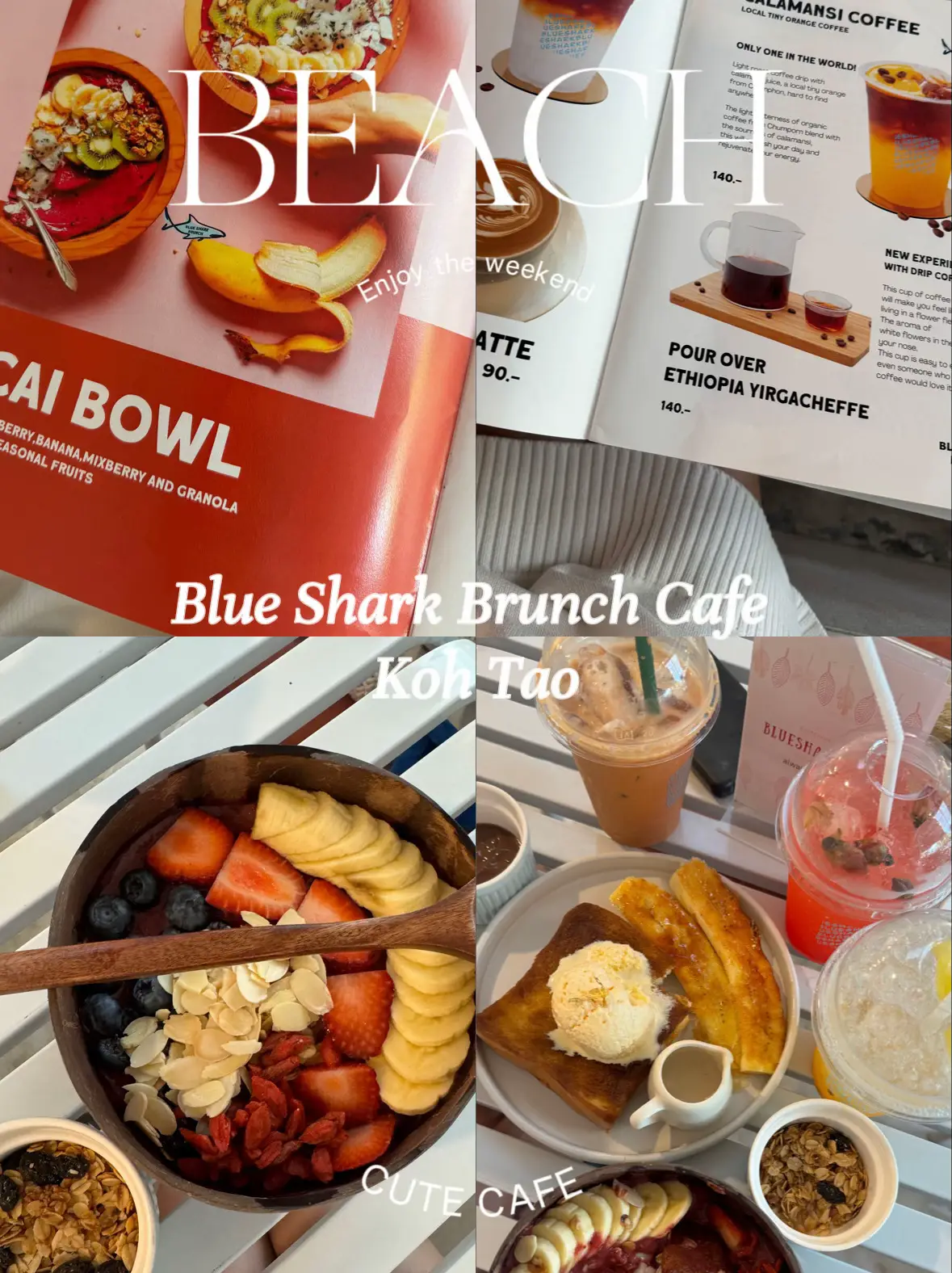 Blue Shark Brunch Cafe Koh Tao | แกลเลอรีที่โพสต์โดย A'Ris Nurintar ...