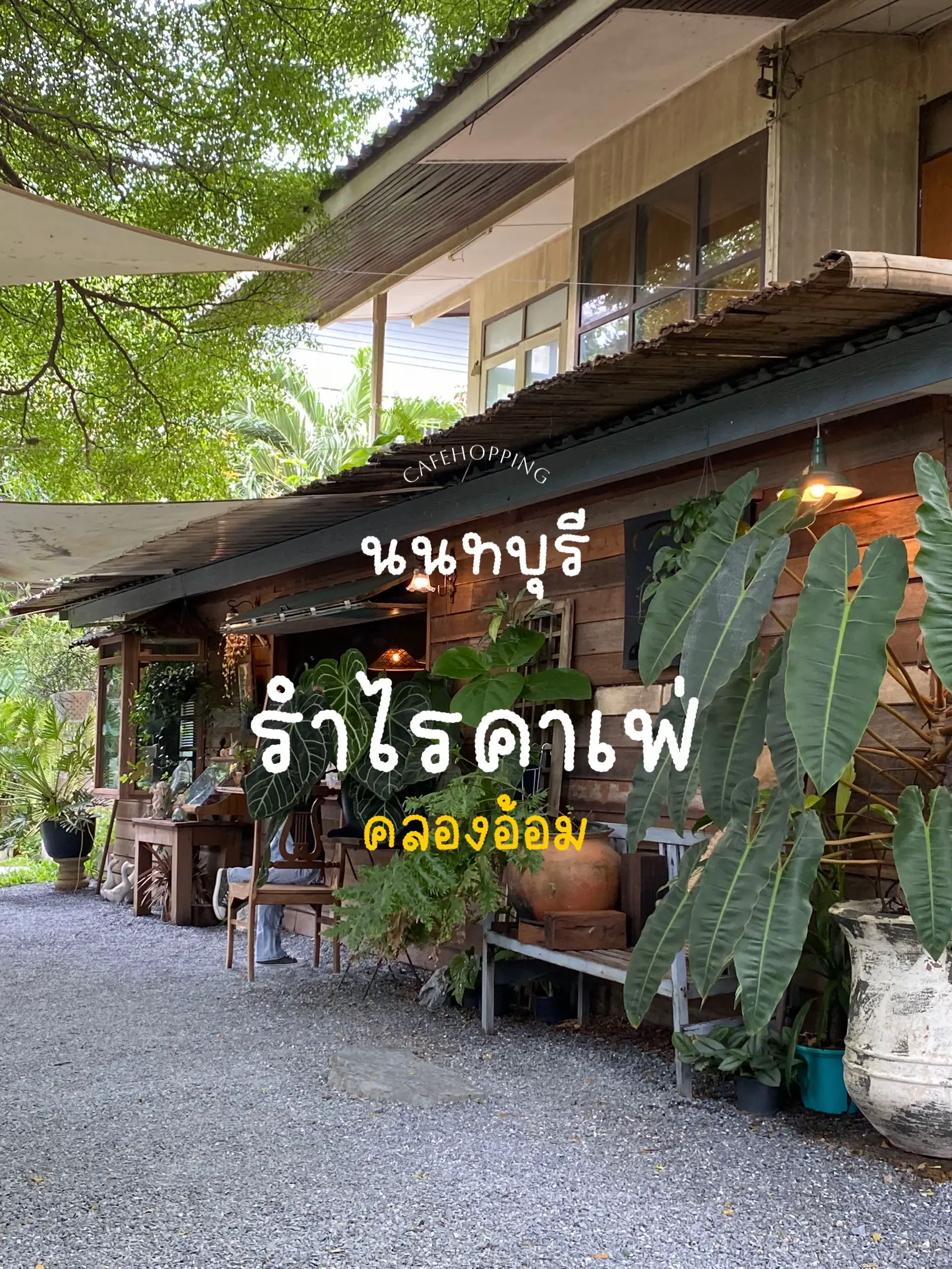 คาเฟ่นนทบุรี ร้านรำไร | แกลเลอรีที่โพสต์โดย Ramida.Diary | Lemon8