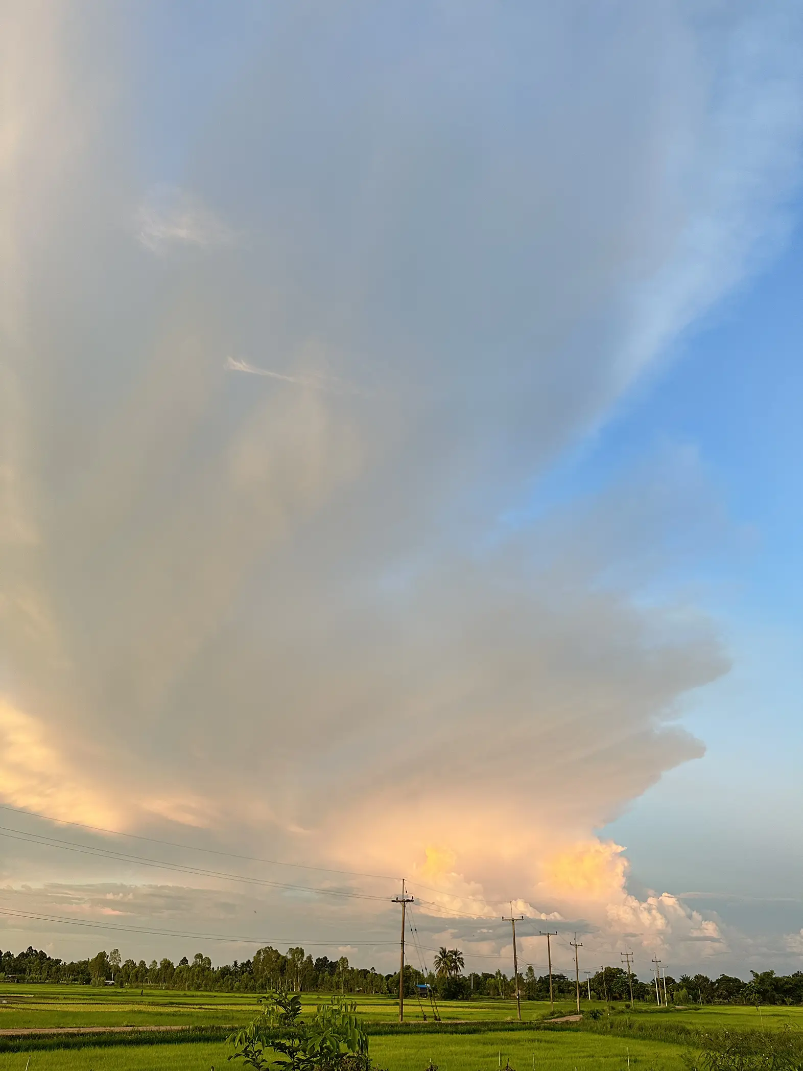 Sky Wallpaper | แกลเลอรีที่โพสต์โดย ป๊อปปี้หัวฟู • | Lemon8