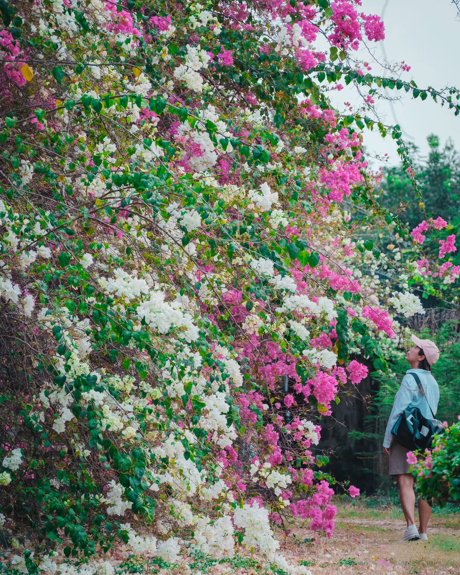 Summer Vibes. 🌤️ | แกลเลอรีที่โพสต์โดย Rattomarty | Lemon8