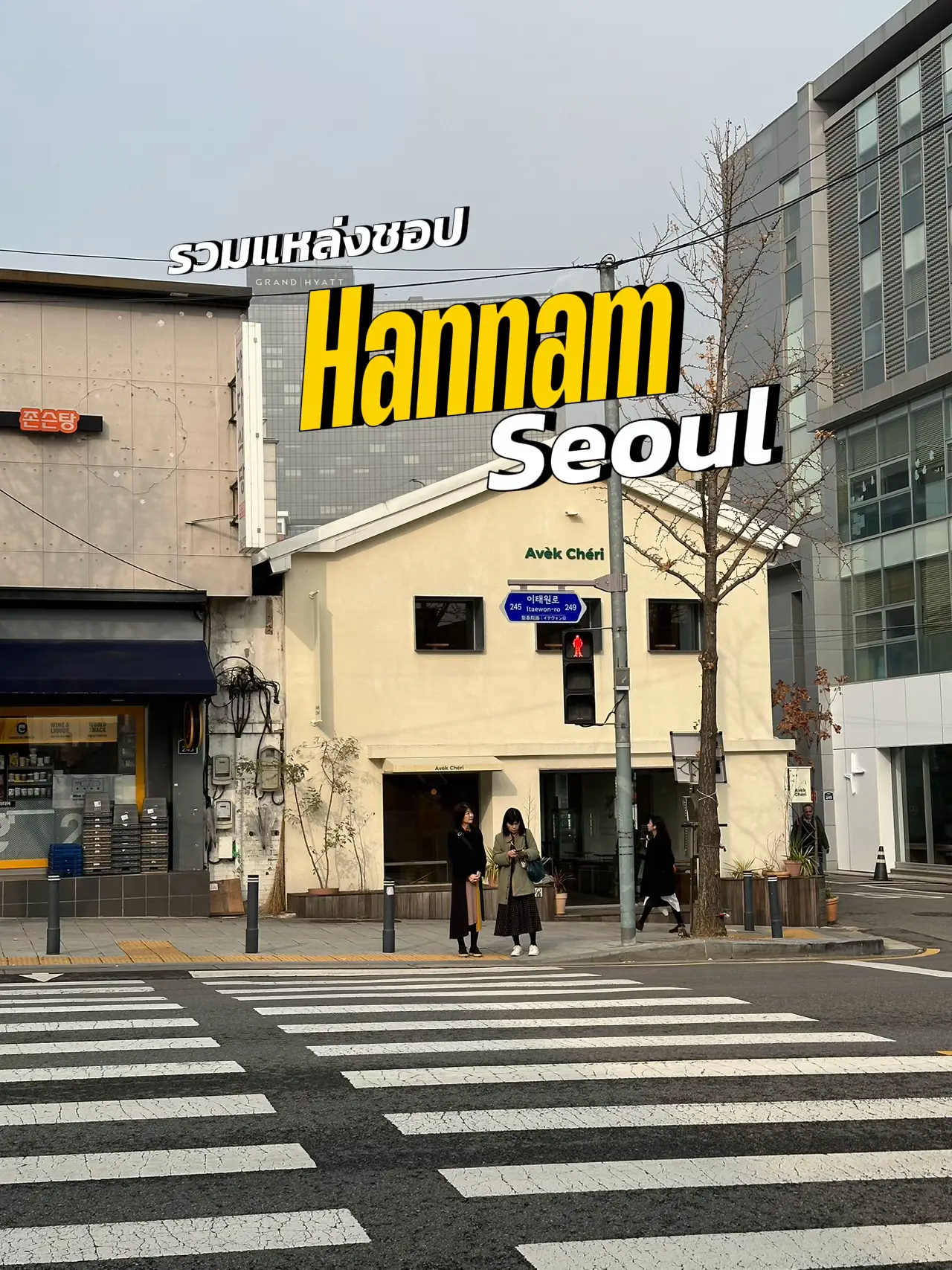 Hannam November 2023 Includes All Shopped Lines Do Not Miss 💸 | Gallery ...