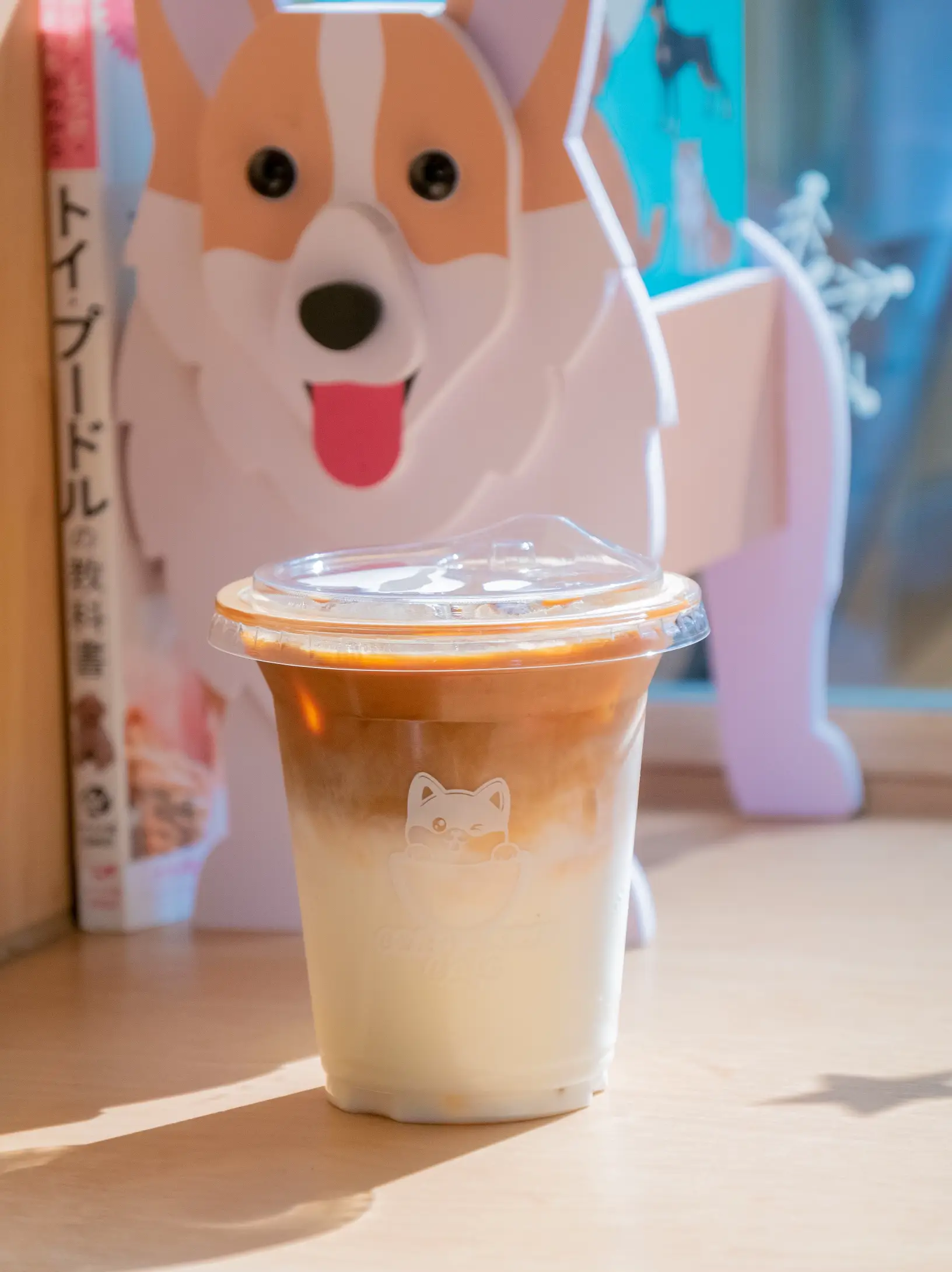 Corg and Koff | แกลเลอรีที่โพสต์โดย MYTWINP | Lemon8