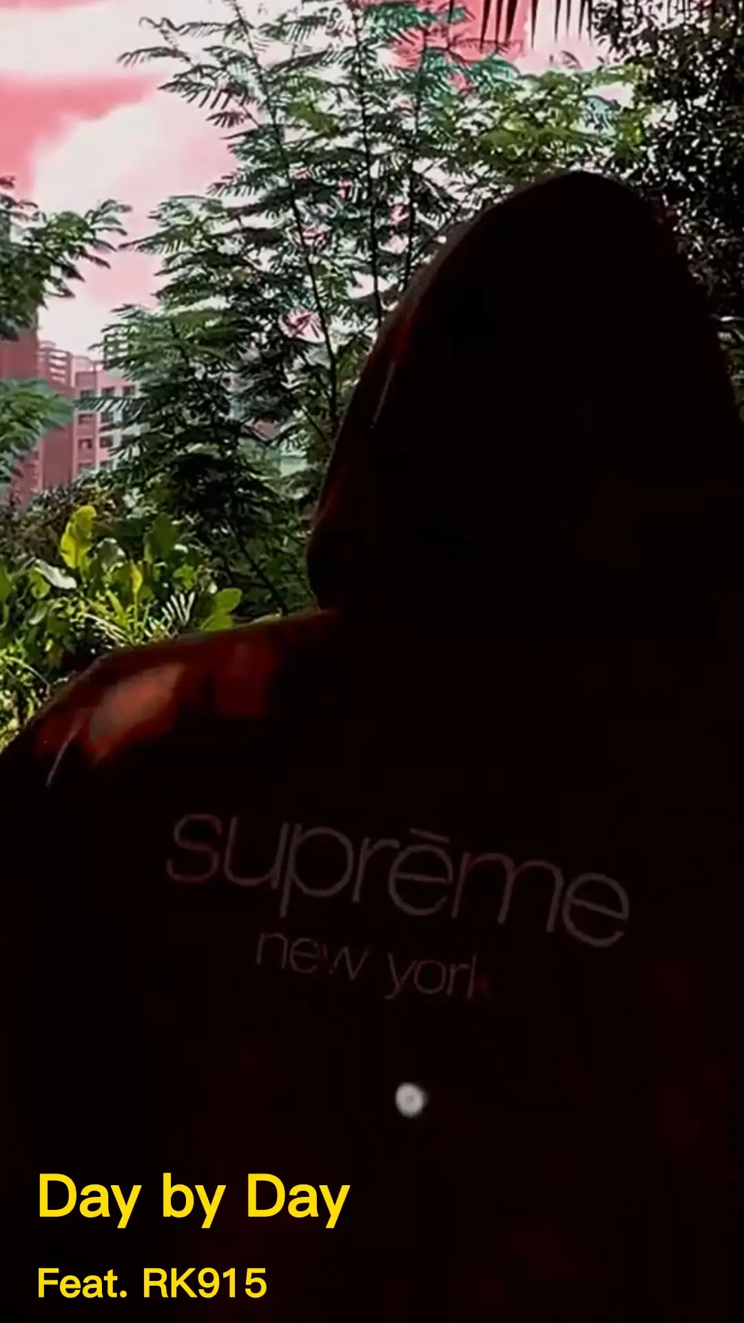 Day By Day Music Video | Video published by JustJaewin | Lemon8