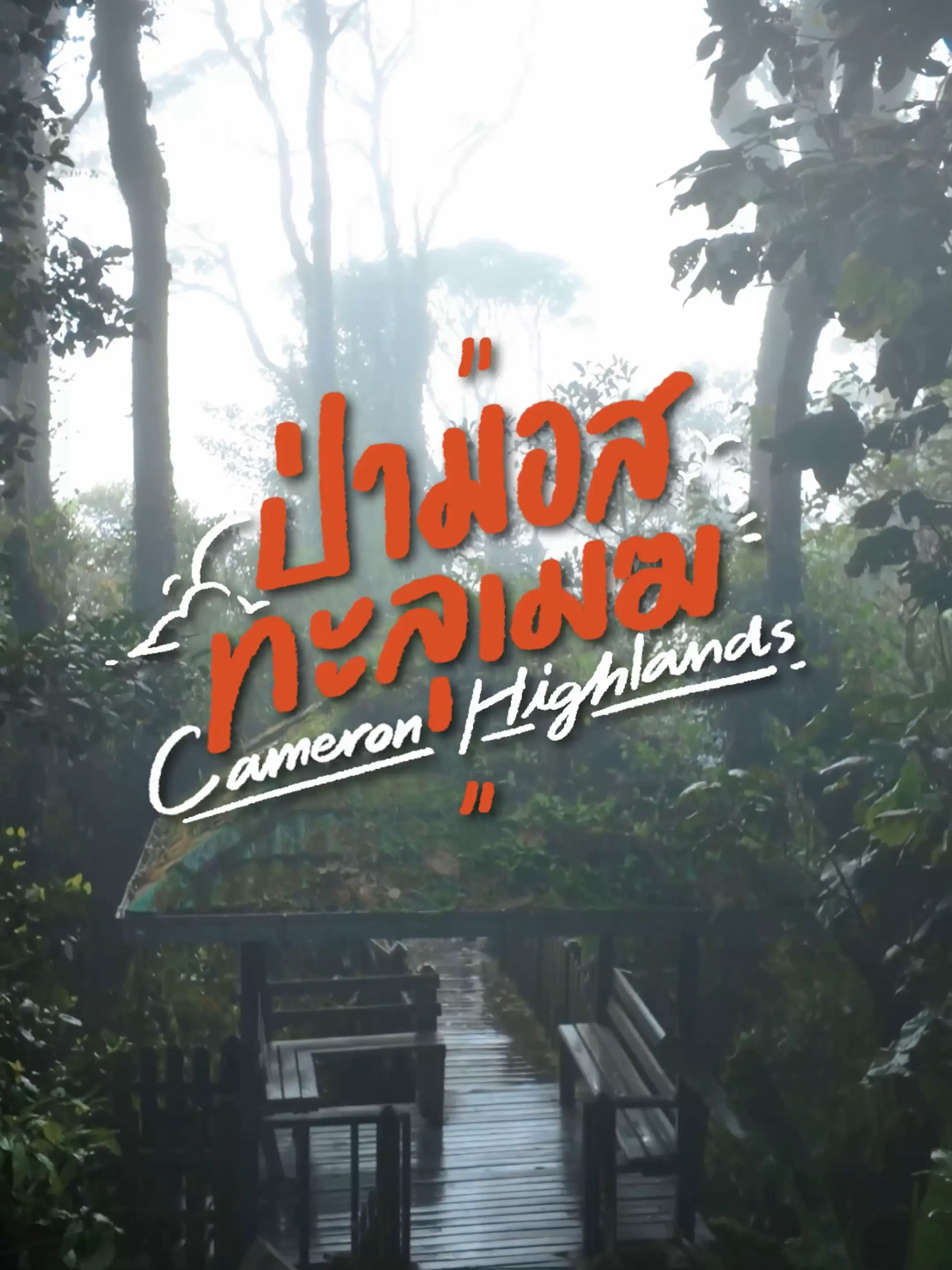 Mossy Forest Mistおとぎ話都市 | อาสาพาไปหลงの投稿動画 | Lemon8