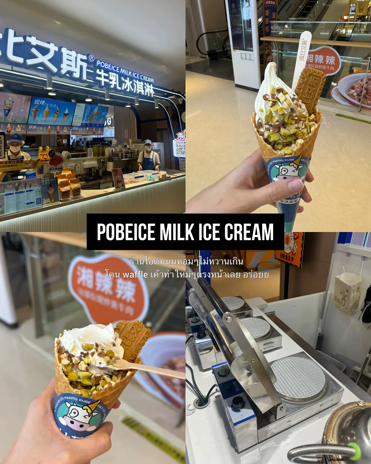 Guangzhou 🇨🇳🥟🍢 รวมพิกัดกินเที่ยวในกวางโจว 2024 (EP.3) | แกลเลอรีที่ ...