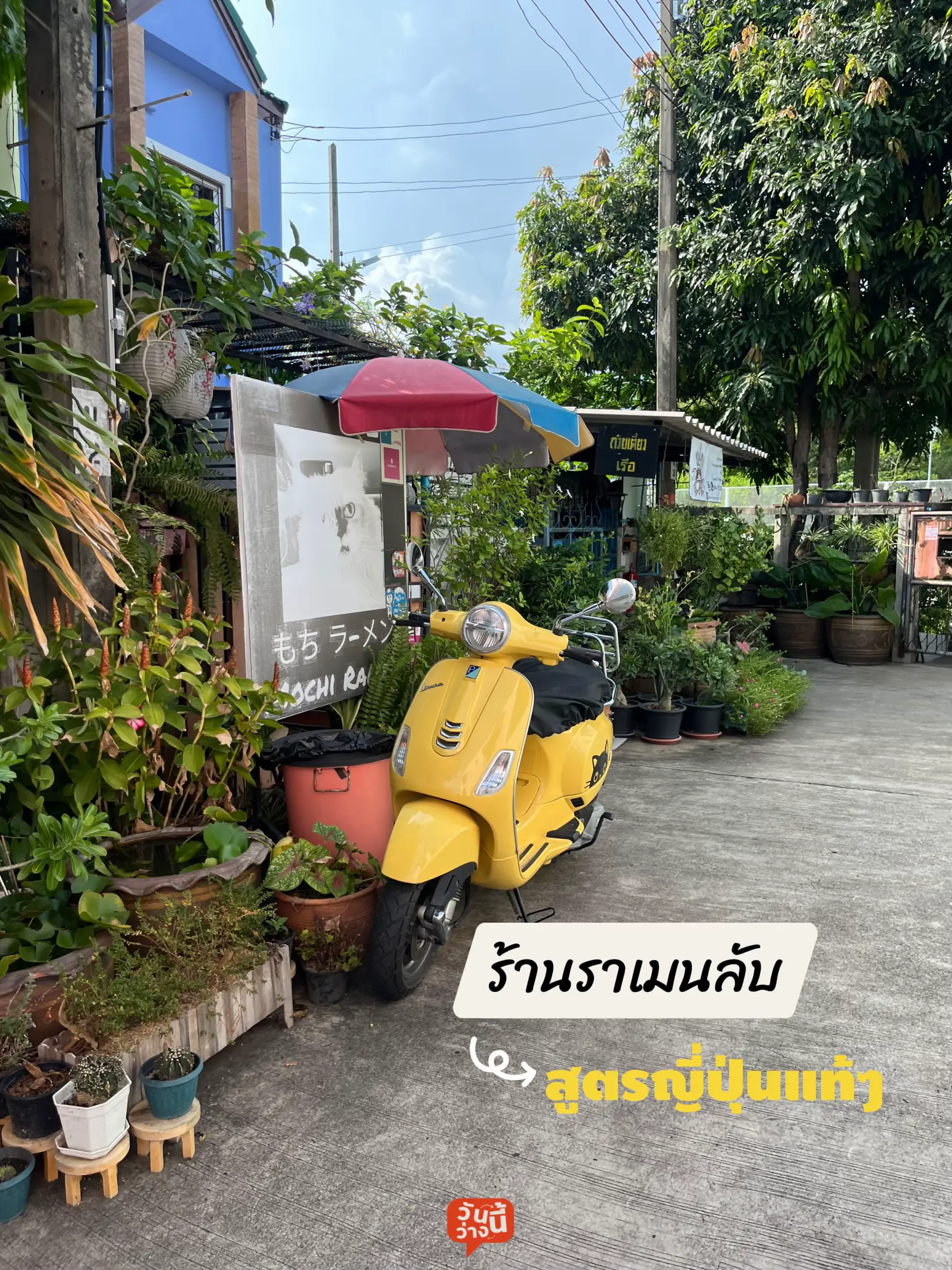 วันนี้ว่างกิน Ep.39 🍥🥢 ราเมง สูตรญี่ปุ่นแท้ๆ‼️ | แกลเลอรีที่โพสต์โดย ...
