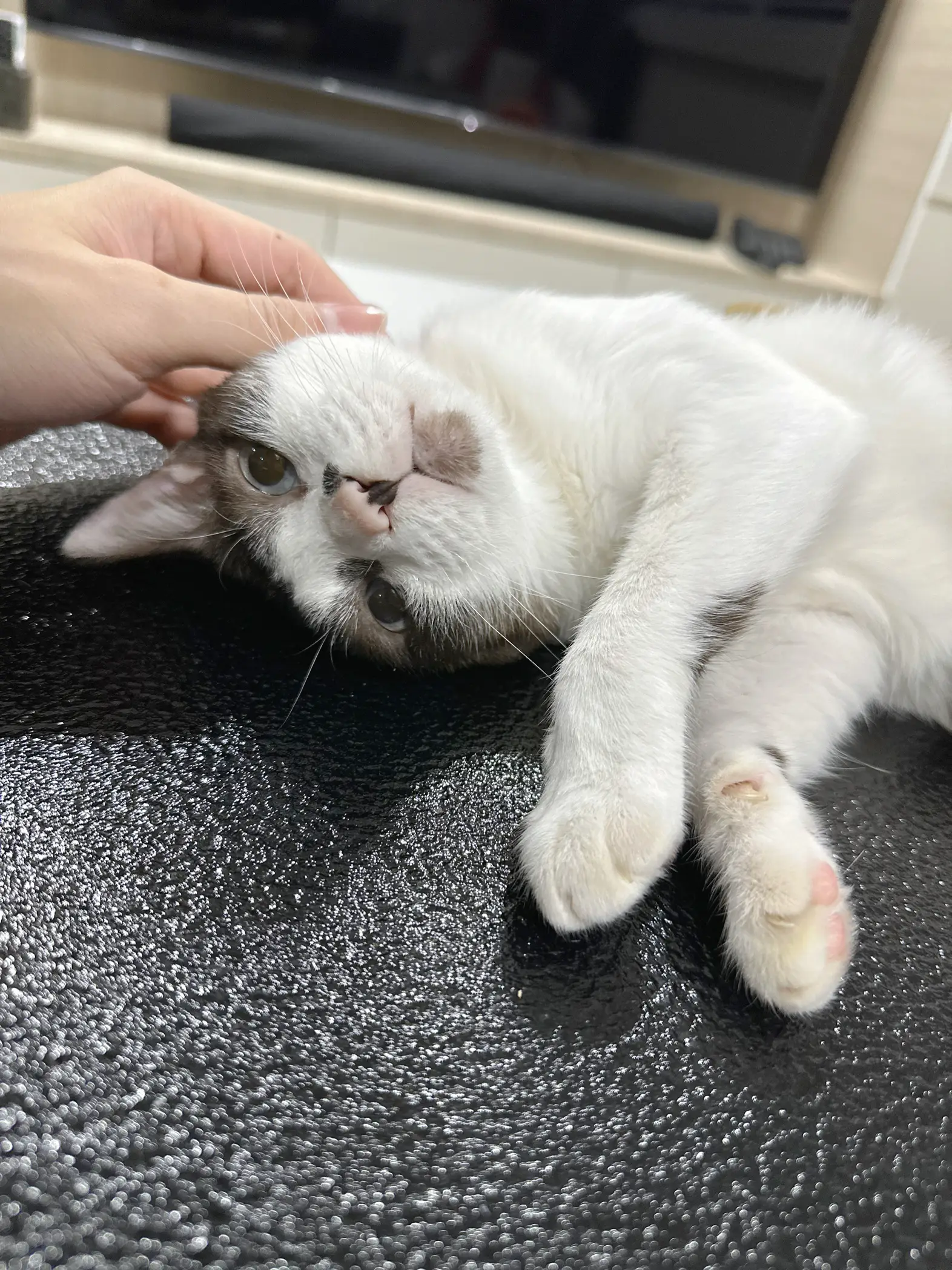 Blue~ | Gallery posted by NESSA | Lemon8