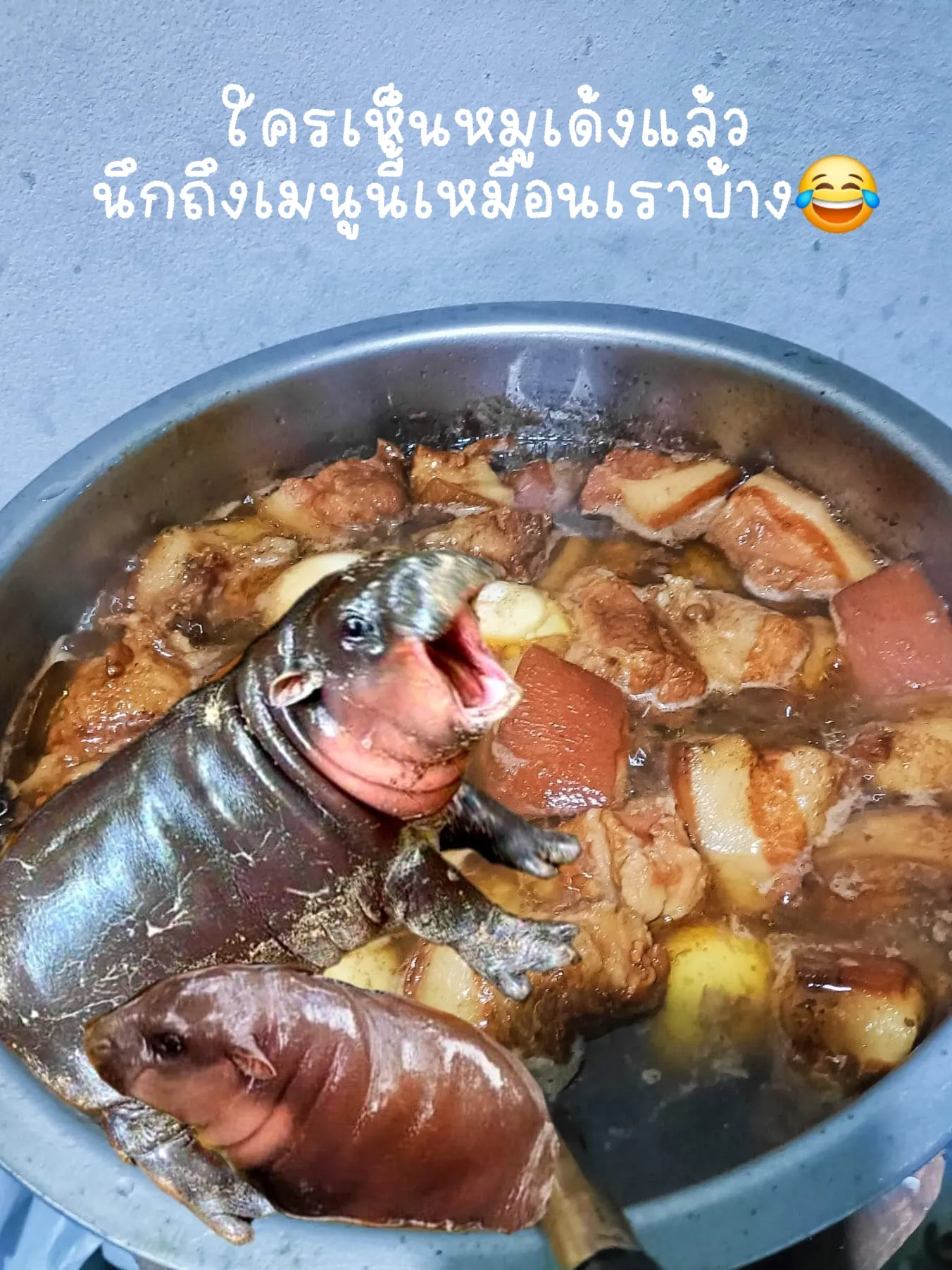 เค้กน้องหมูเด้ง 🤣 | วิดีโอที่เผยแพร่โดย TripTH | Lemon8