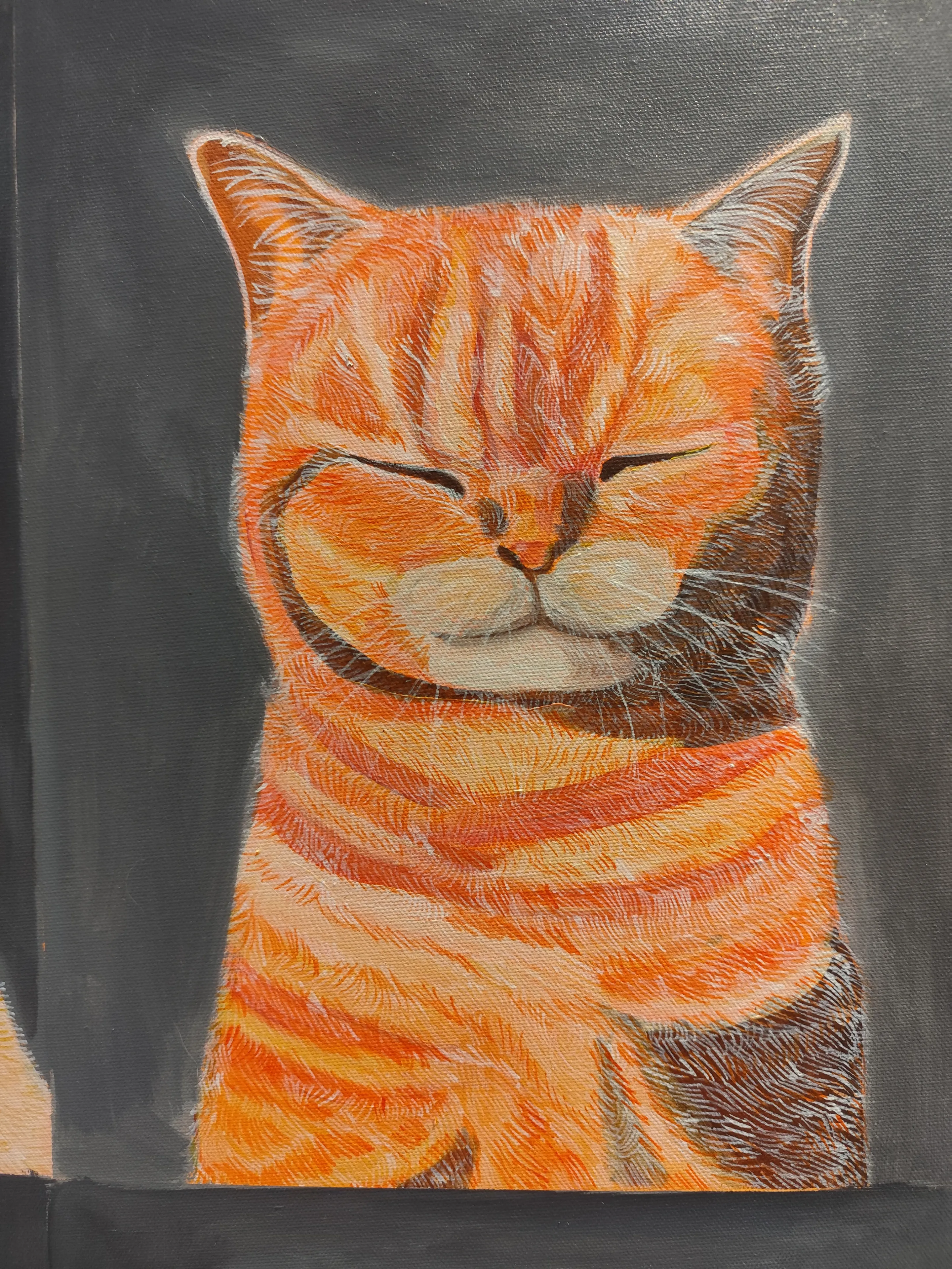 Funny Cat แมวมันส์ "ภาพในใจ" | แกลเลอรีที่โพสต์โดย tu bgood | Lemon8