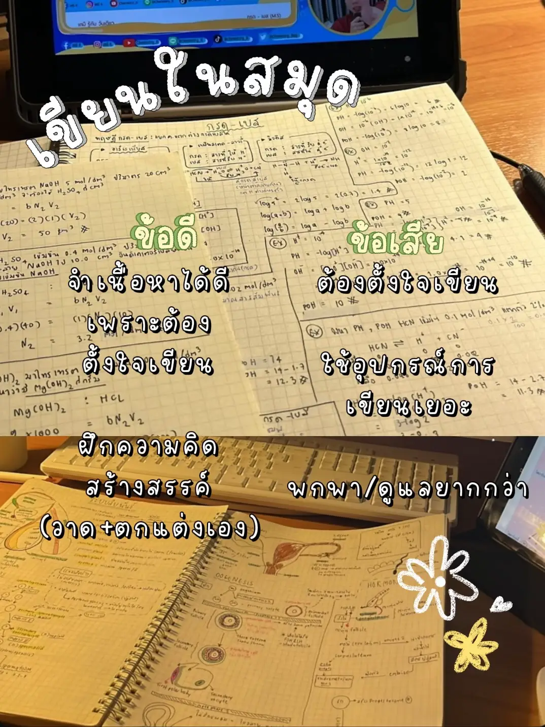 แจกตารางจดศัพท์ใน ipad | แกลเลอรีที่โพสต์โดย Kancha | Lemon8