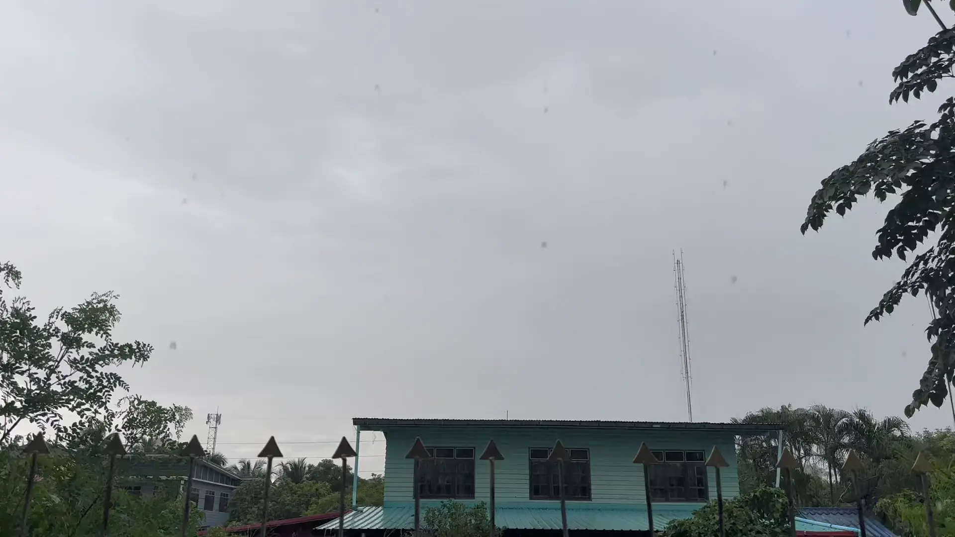 11 มิถุนายน 2567 16:39 🐋🌧️ | วิดีโอที่เผยแพร่โดย RACHAN FLuKE ☂️ | Lemon8