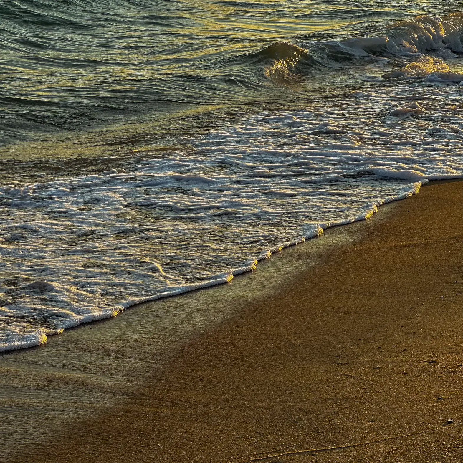 คาเฟ่บีชคลับ #vibeดีมาก | แกลเลอรีที่โพสต์โดย KhunEverywhere | Lemon8