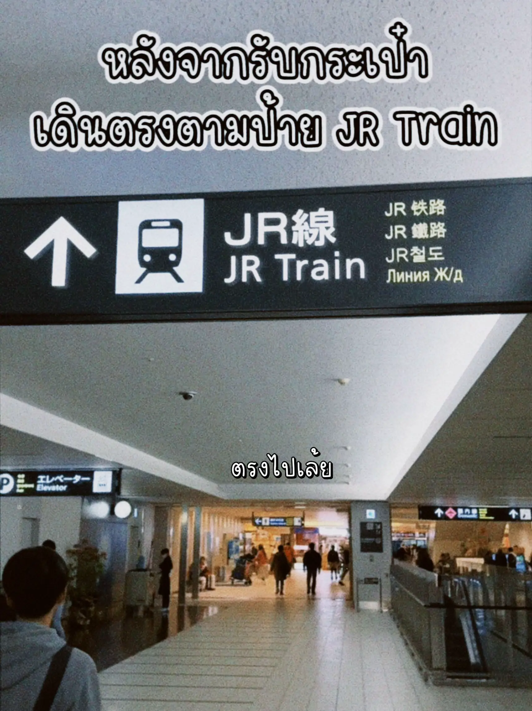 ️ วิธีแลก JR Hokkaido Rail Pass ที่ New Chitose 🇯🇵 ️ | แกลเลอรีที่โพสต์โดย โป้งชวนไป… | Lemon8