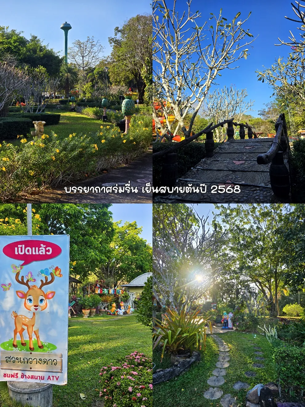 รีวิวที่พัก 🏕 ผึ้งหลวงแคมป์กราวน์ ปราจีนบุรี 🌿 | แกลเลอรีที่โพสต์โดย im.zaii.story | Lemon8