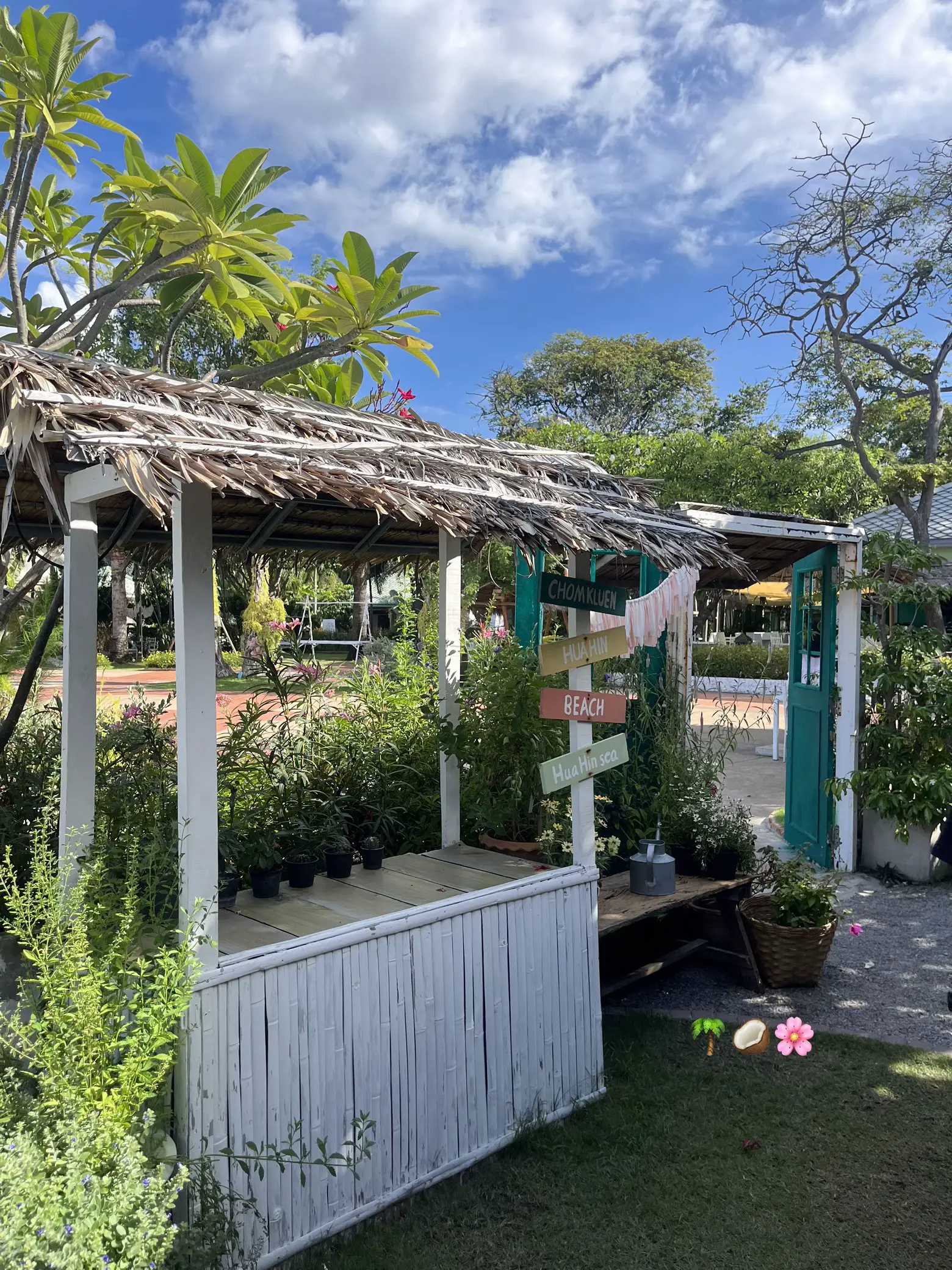 CHAPLU คาเฟ่สุดฮอตในหัวหิน มุมถ่ายรูปสวยมาก🐠🫧🌸 | แกลเลอรีที่โพสต์โดย ...