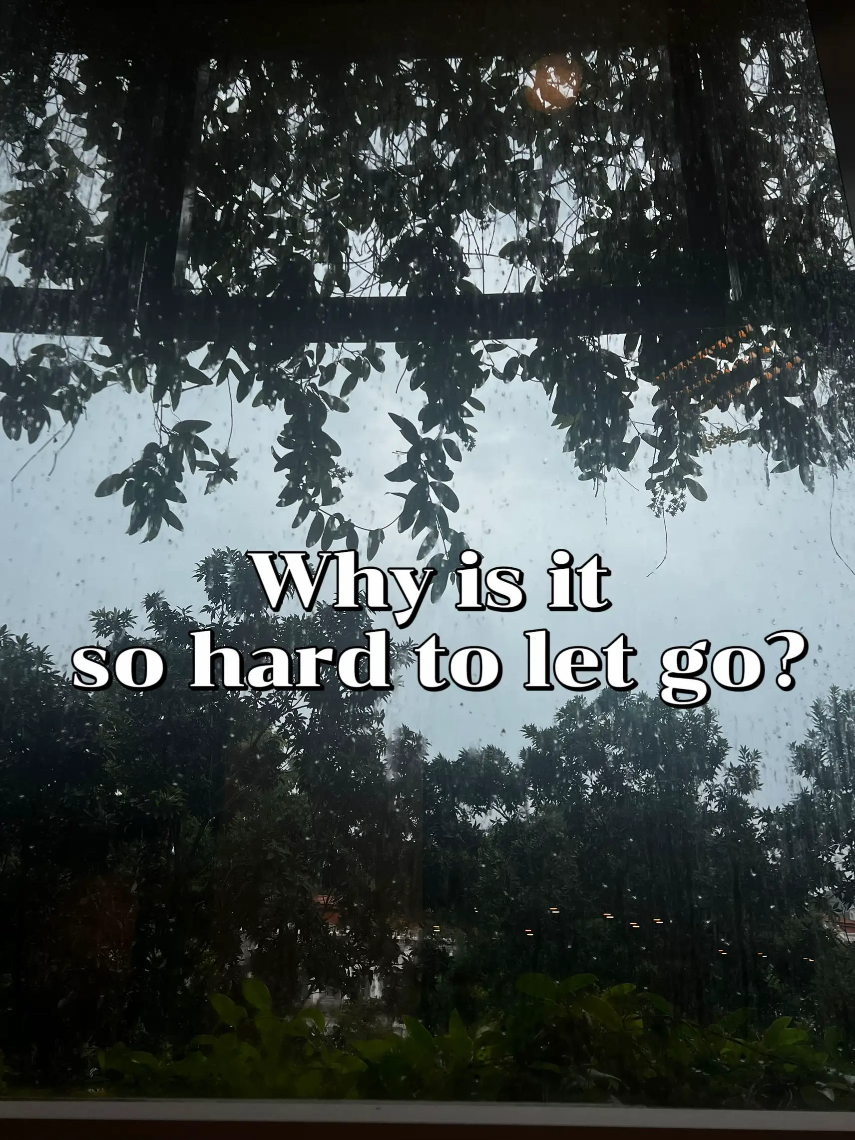 Why is it so hard to let go? | Gallery posted by jni | Lemon8