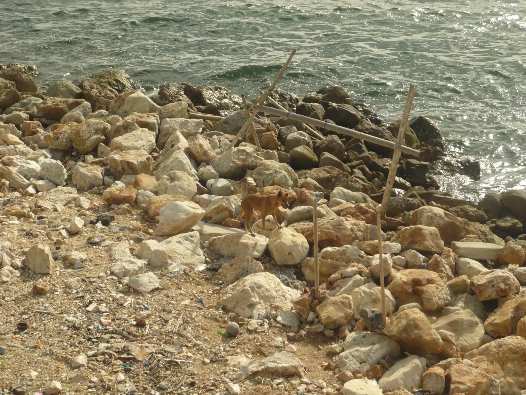 Review old digicam : LUMIX Leica DC lens | แกลเลอรีที่โพสต์โดย mantra ...