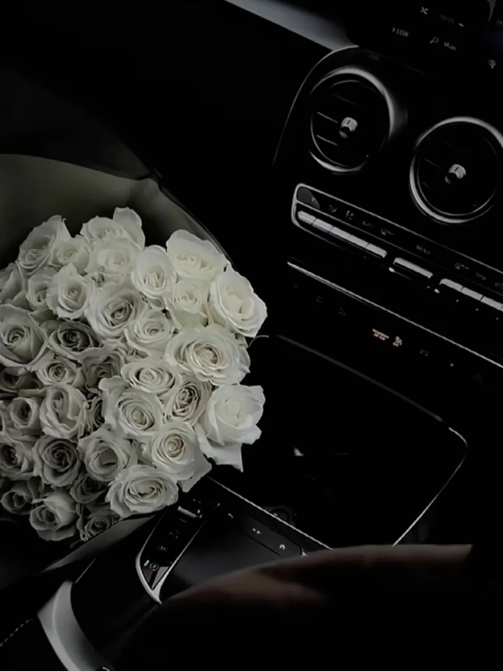 Wattpad vibes 🖤🤍 | Galeri diposting oleh U D A N G | Lemon8