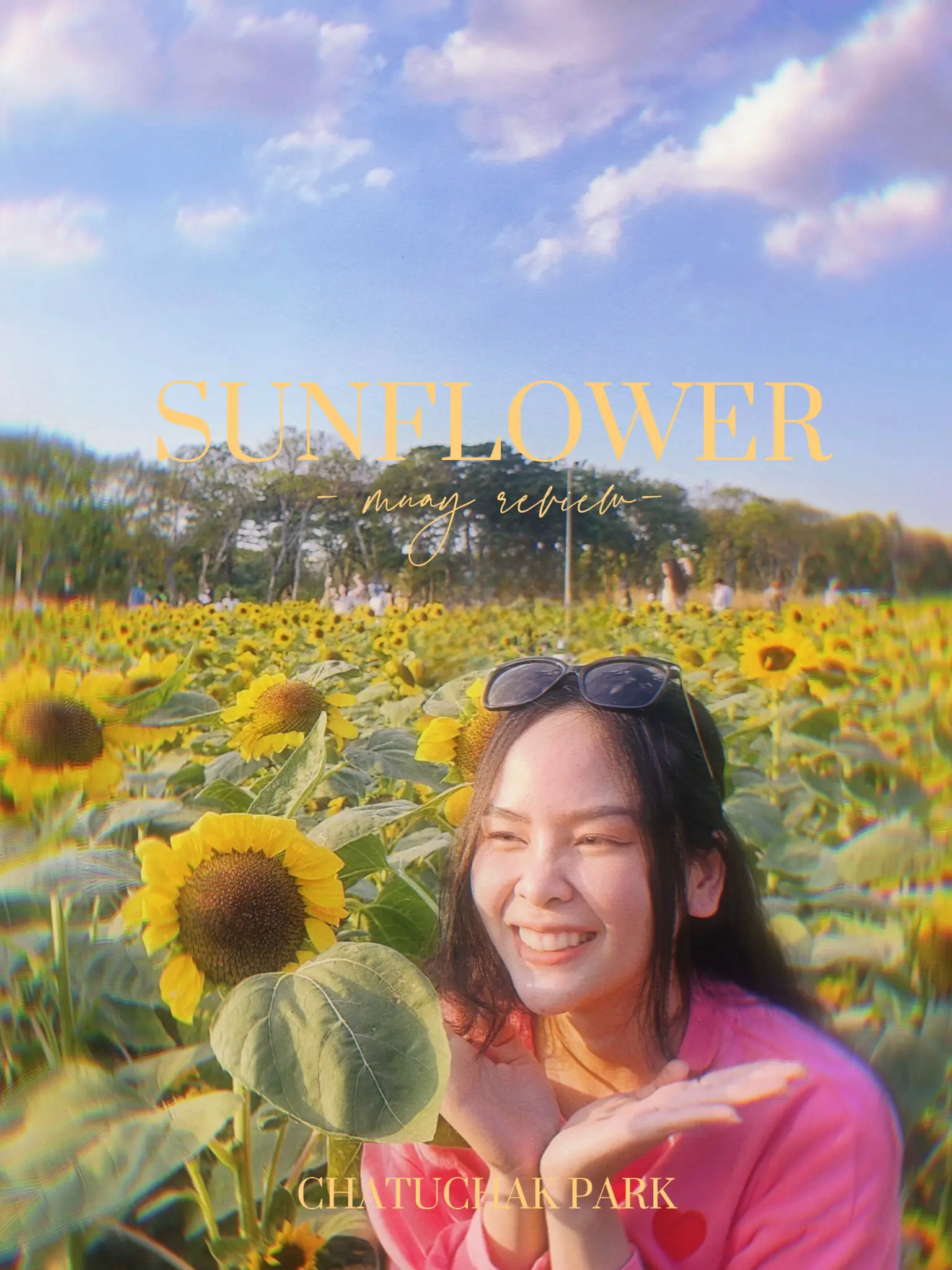 SUNSET / SUNDAY / SUNFLOWER | แกลเลอรีที่โพสต์โดย Jeckieeeeeee | Lemon8