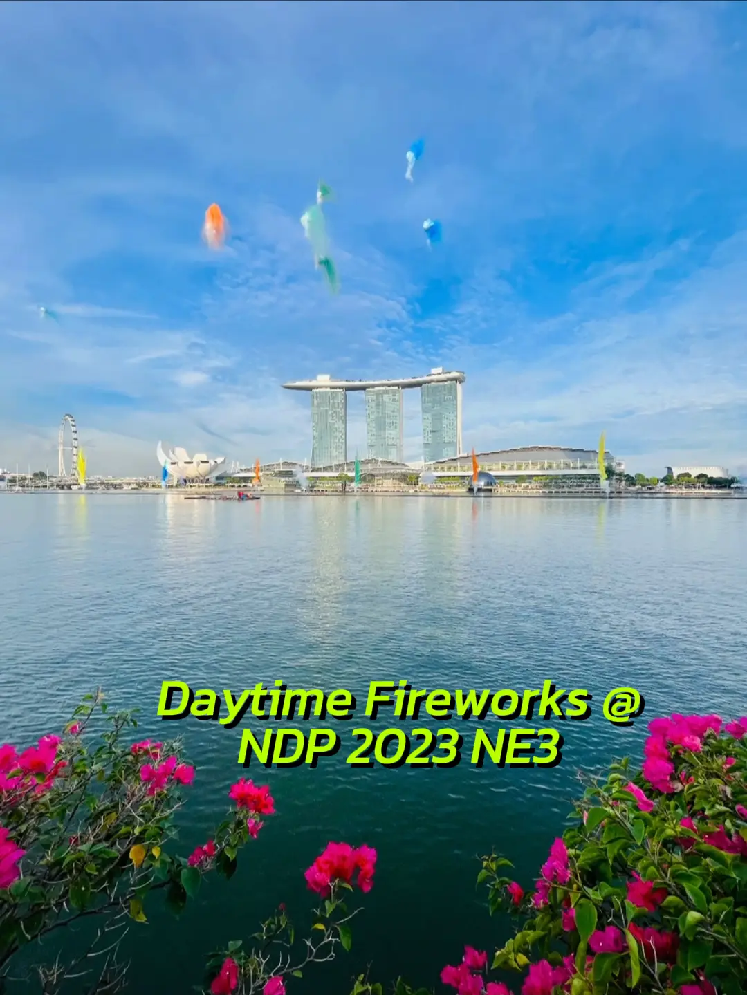 Daytime Fireworks @ NDP 2023 NE3 | Video published by Jess Thia | Lemon8