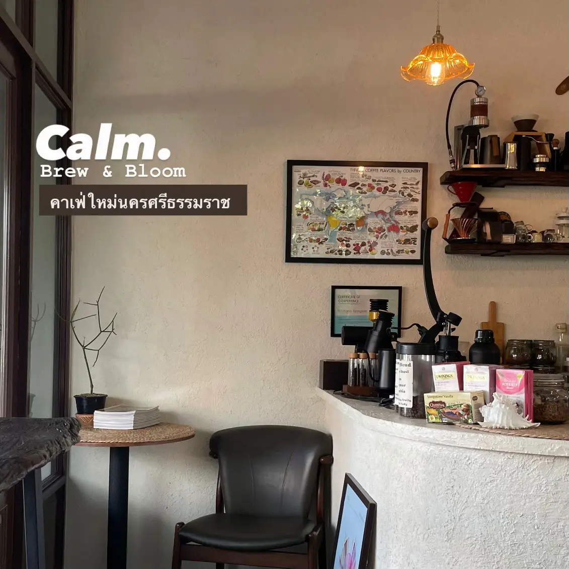 Calm. Brew & Bloom | แกลเลอรีที่โพสต์โดย Nichakon | Lemon8