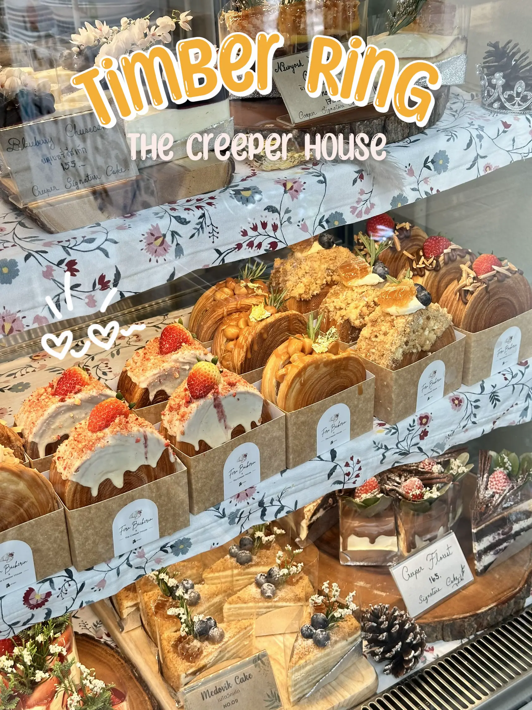 Timber Ring 🥐🍓🍋 | แกลเลอรีที่โพสต์โดย Kanunnn. | Lemon8