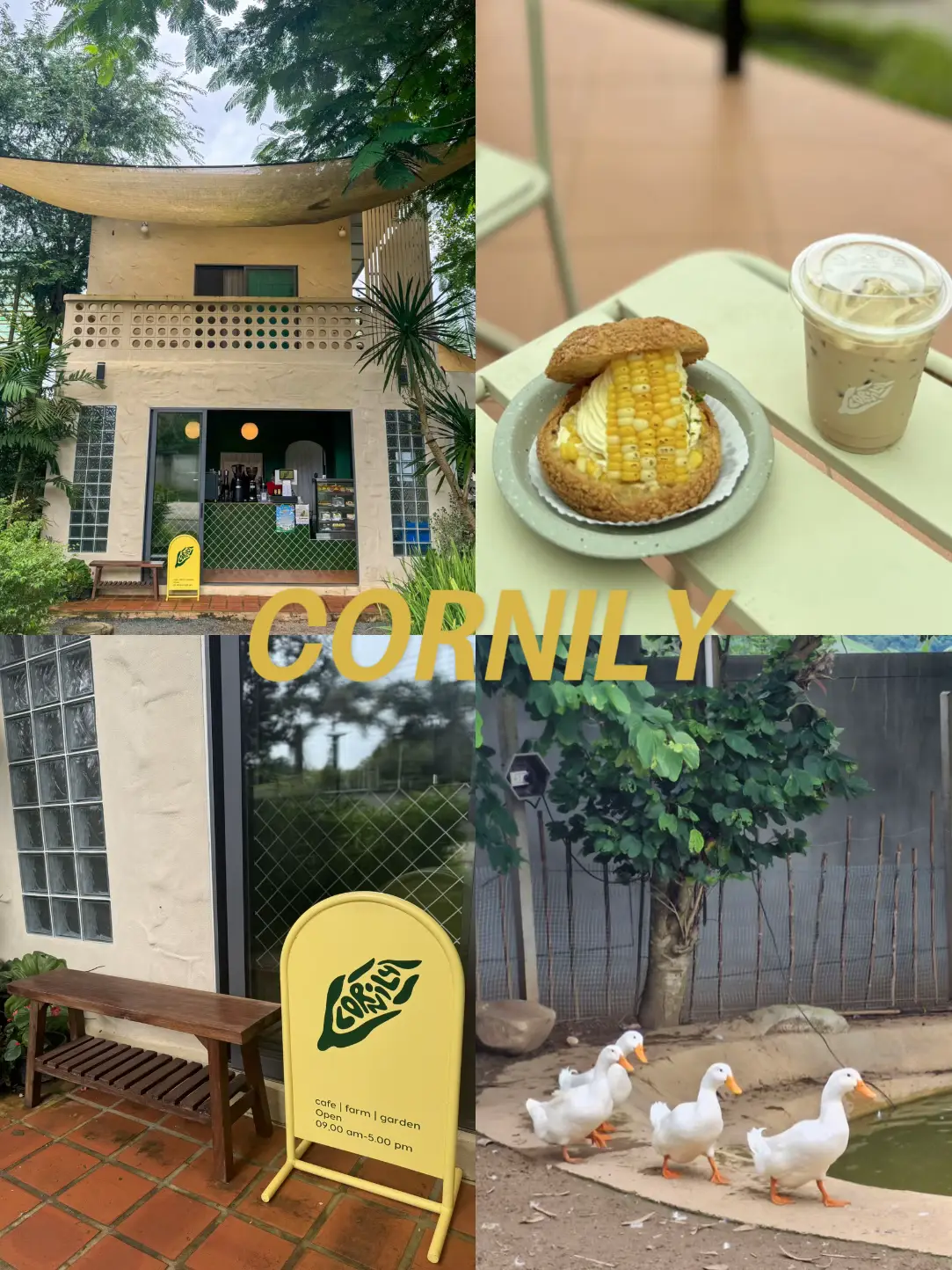 รวมคาเฟ่เพชรบูรณ์ 2024 | แกลเลอรีที่โพสต์โดย Vanda | Lemon8