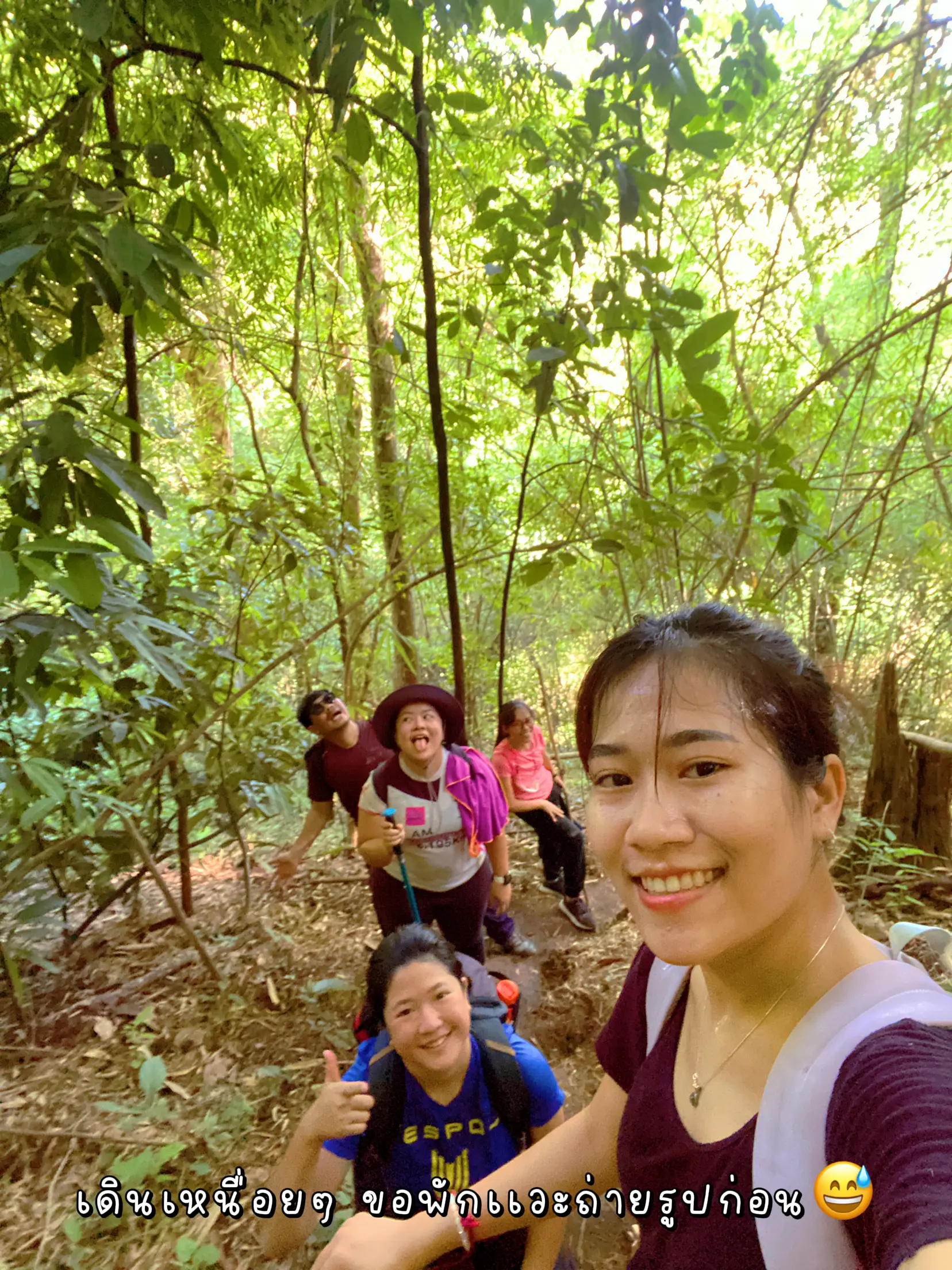 Monk’s trail เดินป่าเชียงใหม่🌲 | แกลเลอรีที่โพสต์โดย Baiyok | Lemon8