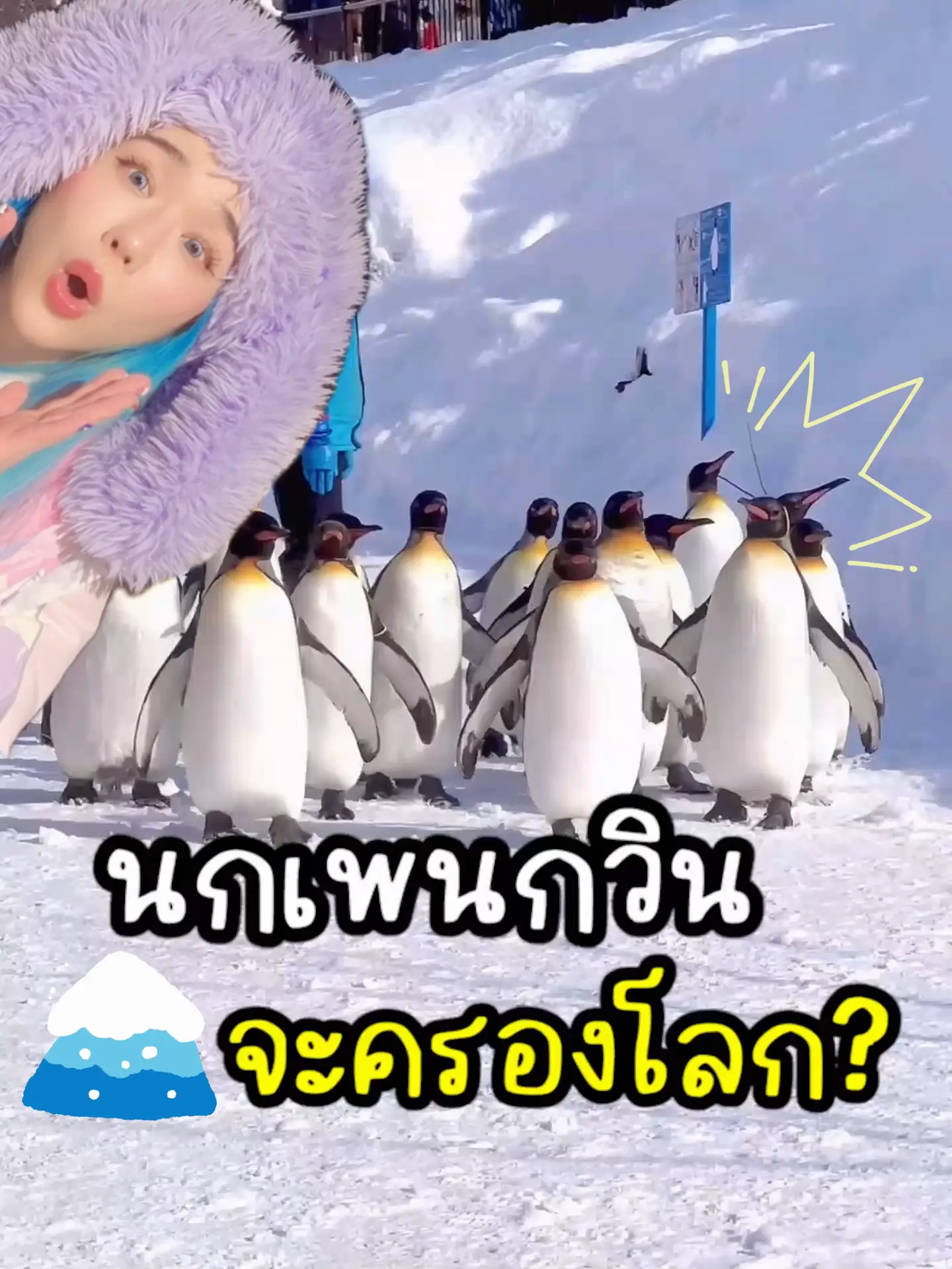 ดูเพนกวินที่ฮอกไกโด 🐧 | วิดีโอที่เผยแพร่โดย Evetsu | Lemon8