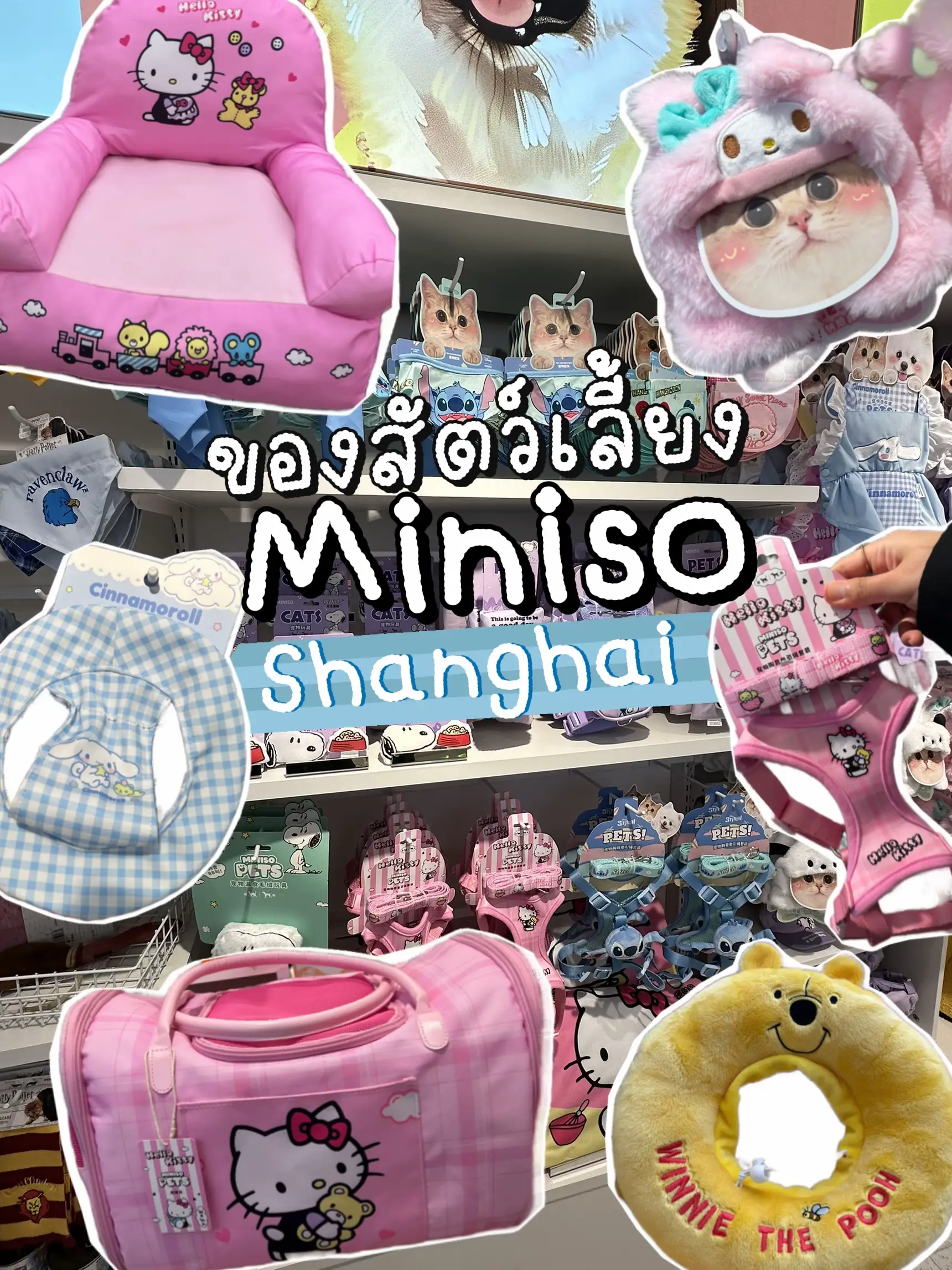 พิกัดช้อปปิ้ง ‘ของสัตว์เลี้ยง Miniso ’ เซี่ยงไฮ้ 🐱🐶🐹 | แกลเลอรีที่โพสต์ ...