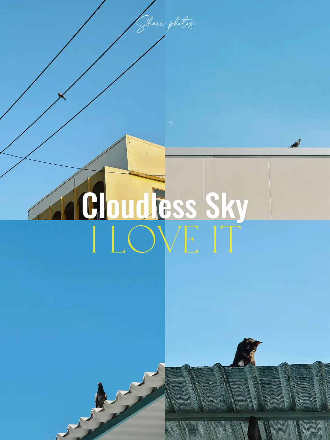 sky backgrounds - การค้นหาใน Lemon8