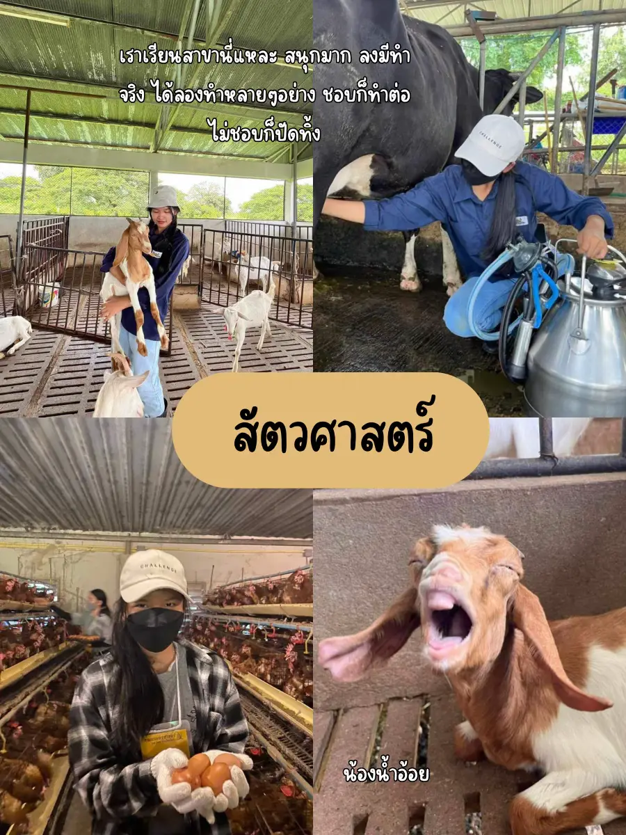 เรียนเกษตรโครตสนุก | แกลเลอรีที่โพสต์โดย kn_vatch | Lemon8