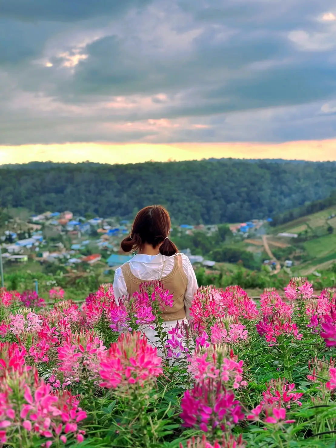 บ้านร่องกล้า-ภูลมโล | แกลเลอรีที่โพสต์โดย Wasana L | Lemon8