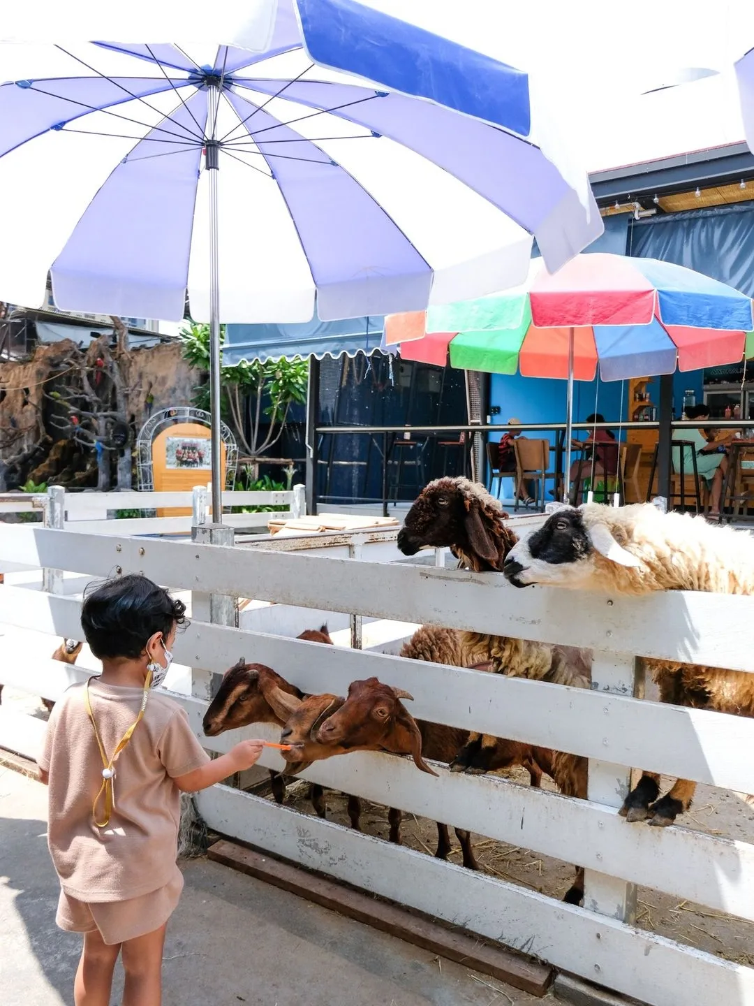 สวนสัตว์พาต้าโฉมใหม่! | แกลเลอรีที่โพสต์โดย LA-WANder | Lemon8